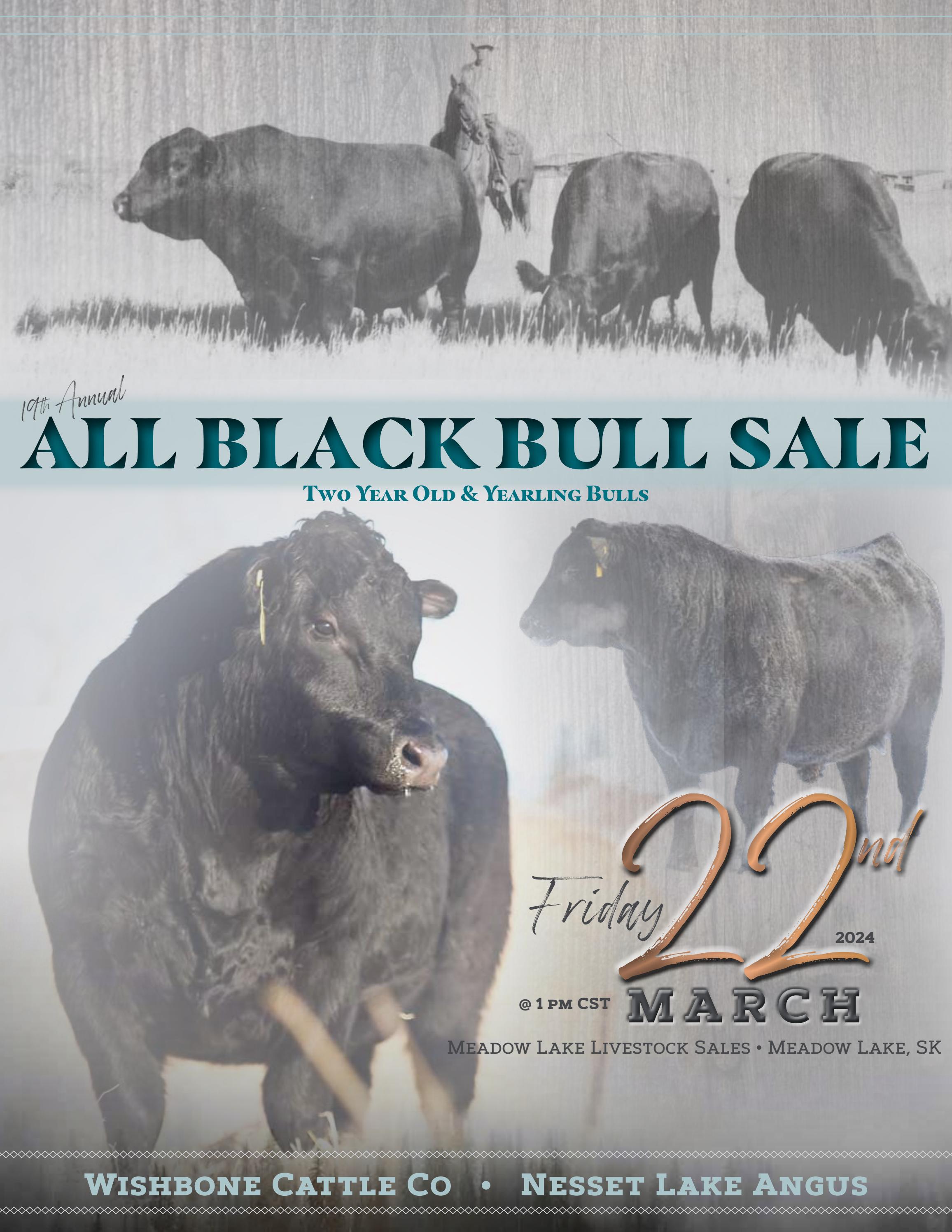 aAll Black Bull 19th Annual Sale - Meadow Lake, SK by DLMS-Cattlevids ...