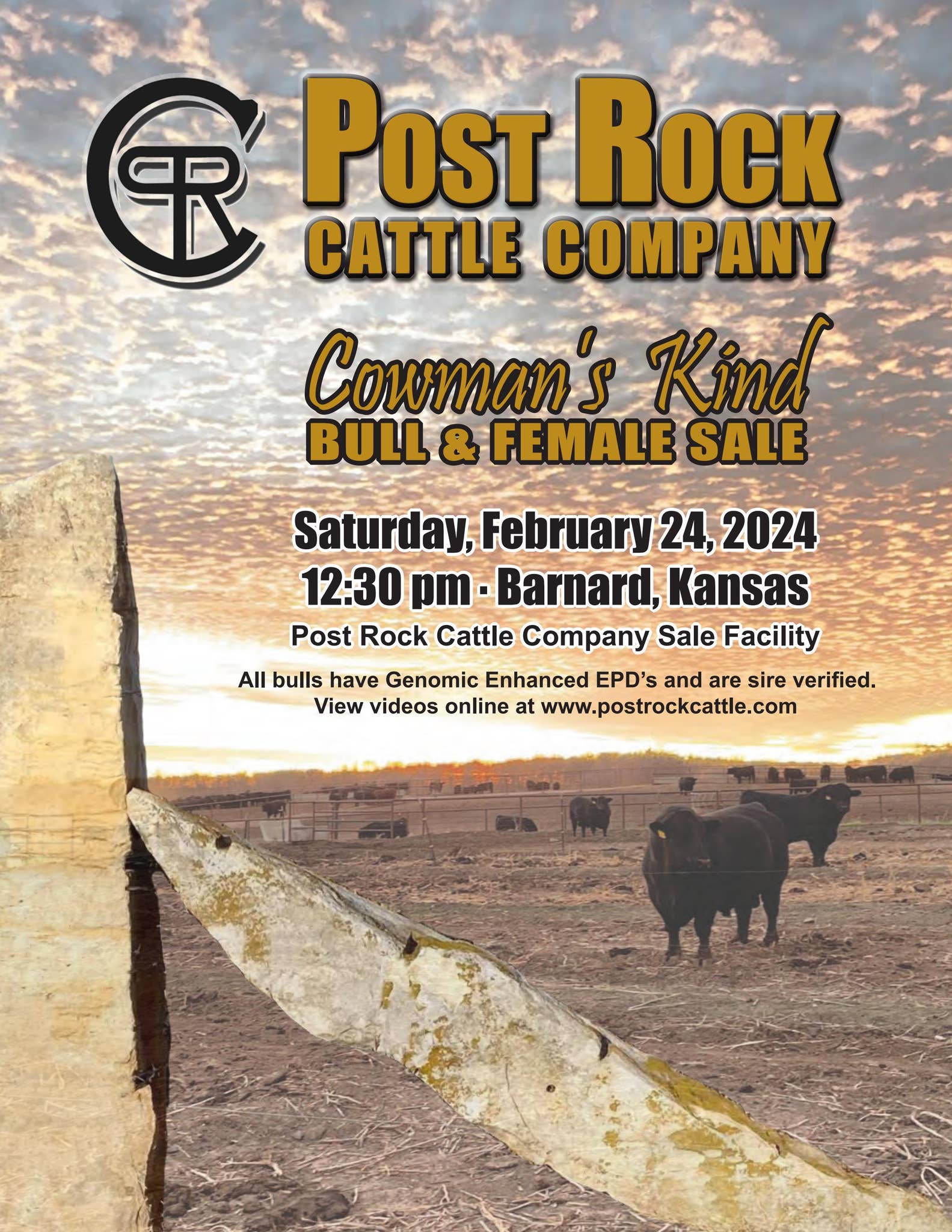 Post Rock Cattle Co Cowman's Kind Bull and Female Sale by ...