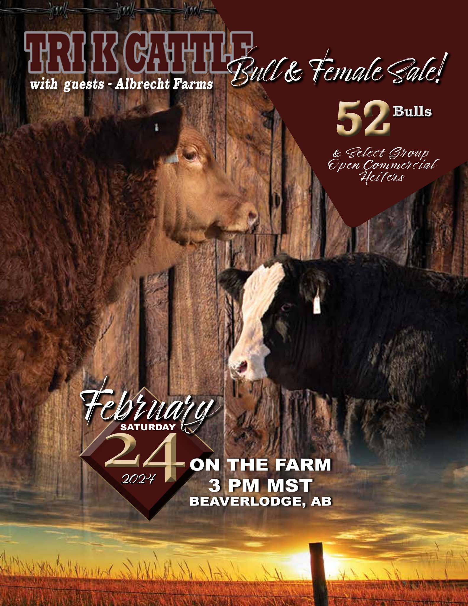 Tri K Cattle Simmental Bull Sale with Guest Albrecht Farms 2024 by ...