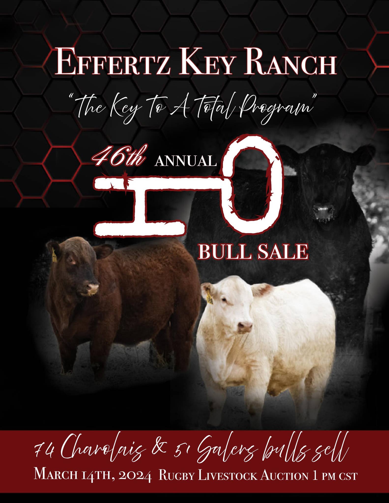 46th Effertz Key Ranch Annual Bull Sale by effertzkeyranch - Issuu