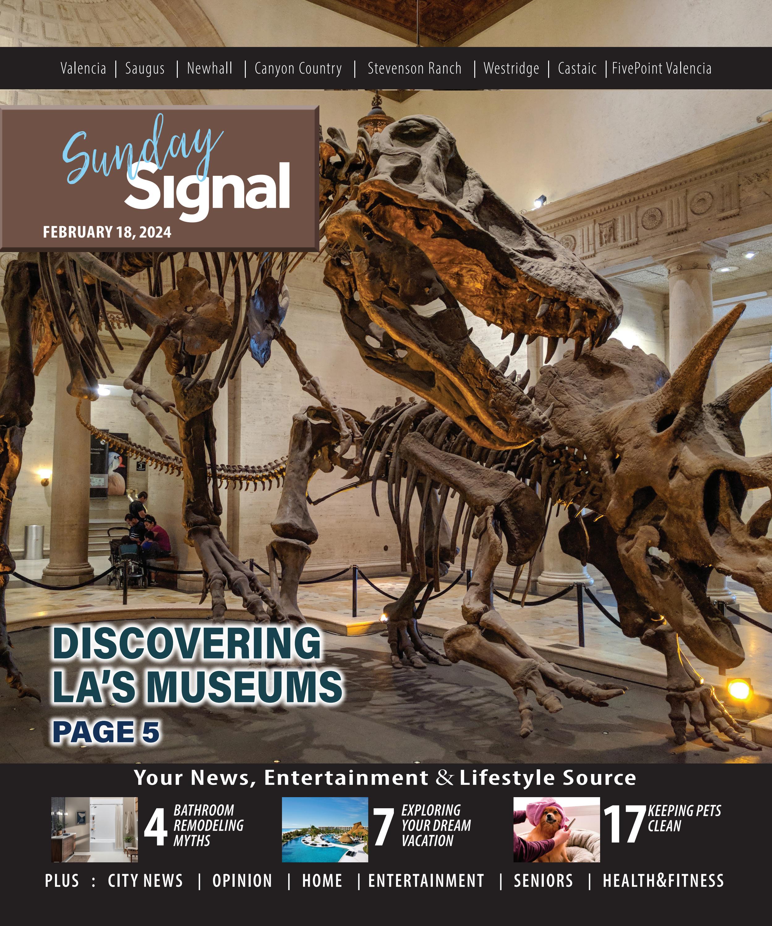 Sunday Signal 021824 by Signal - Issuu