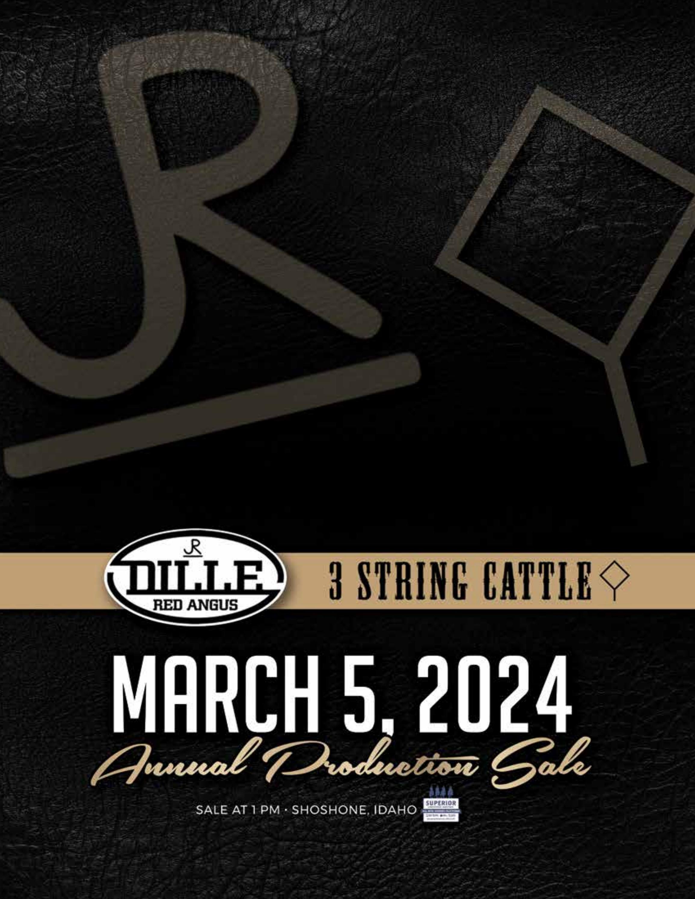 2024 Dille Red Angus & 3 String Cattle • March 5, 2024 • Shoshone ...