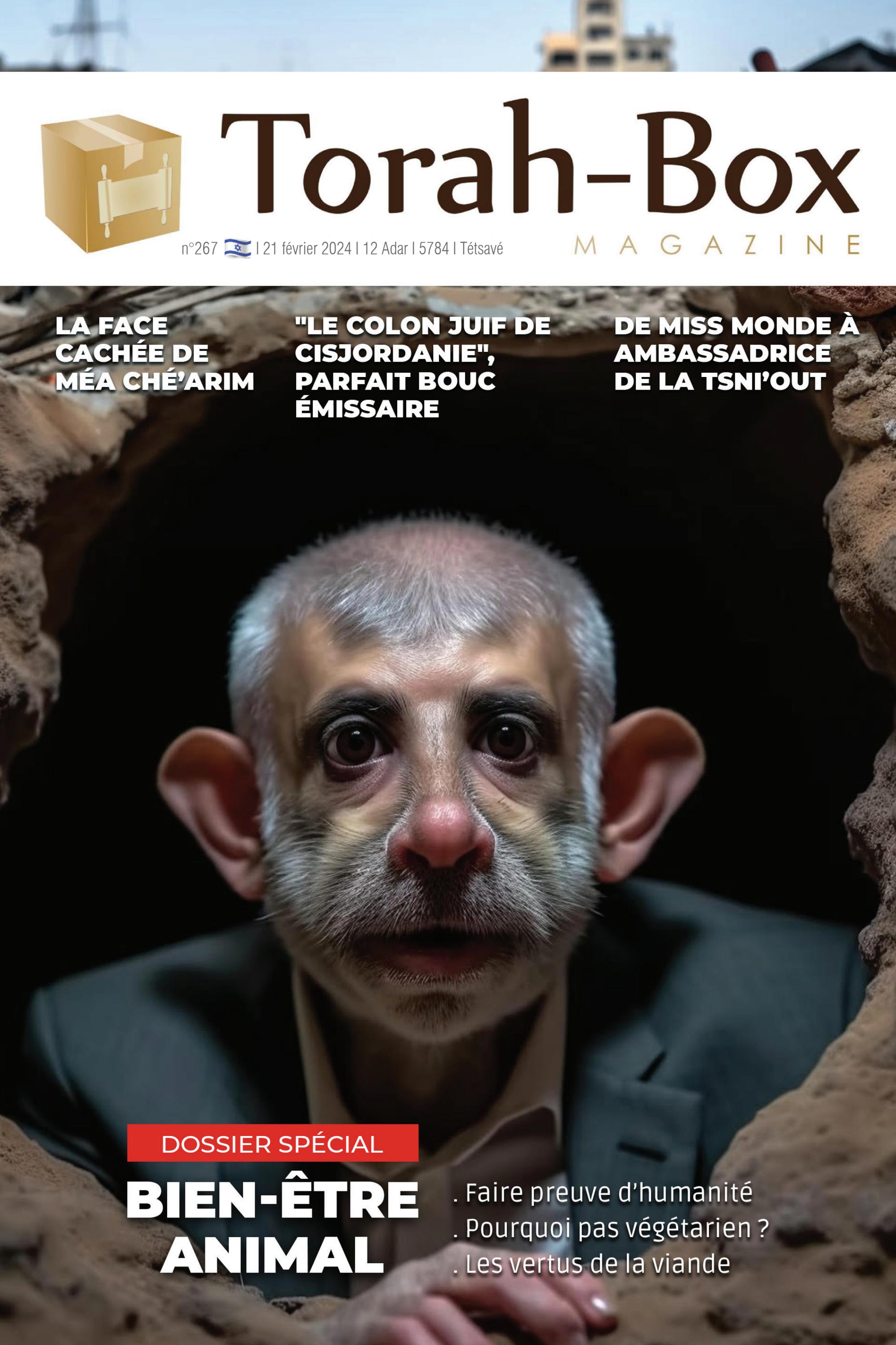 Torah-Box Magazine n°267 Israël - Tetsavé by Torah-Box - Issuu