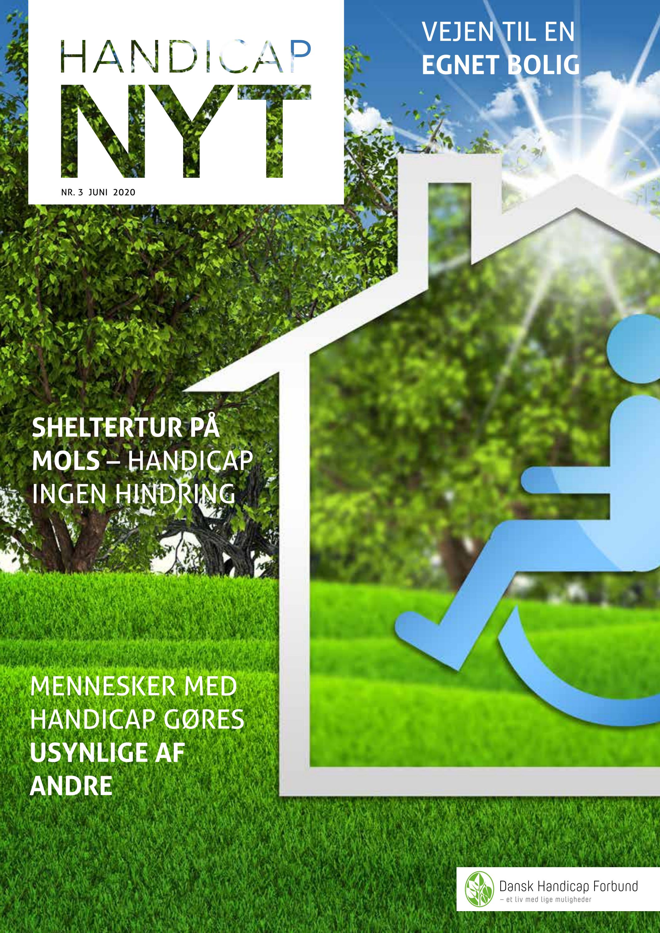 Handicap Nyt nr. 3 2020 by Dansk Handicap Forbund - Issuu