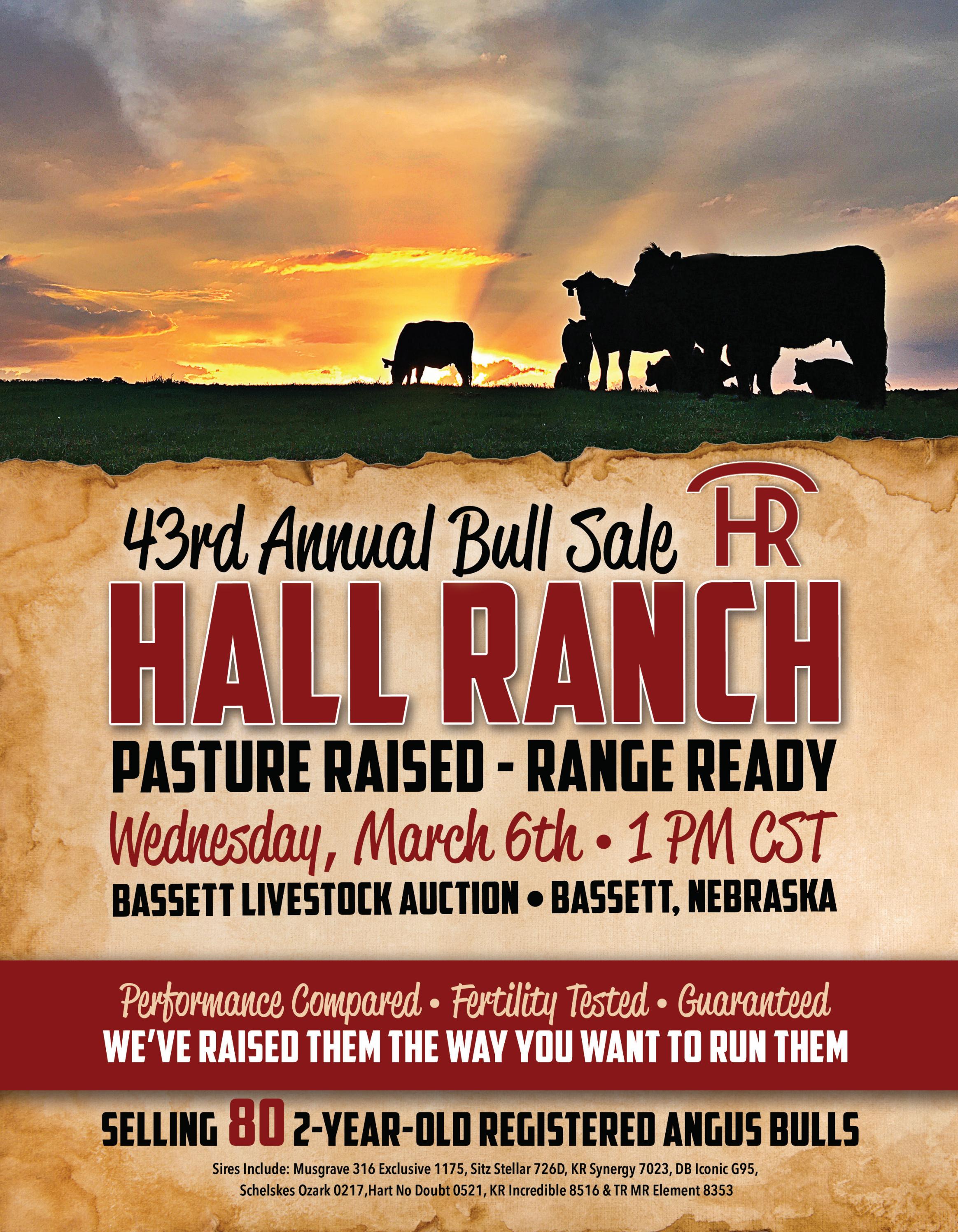 43rd Annual Hall Ranch Bull Sale by kelsey.steinkraus - Issuu