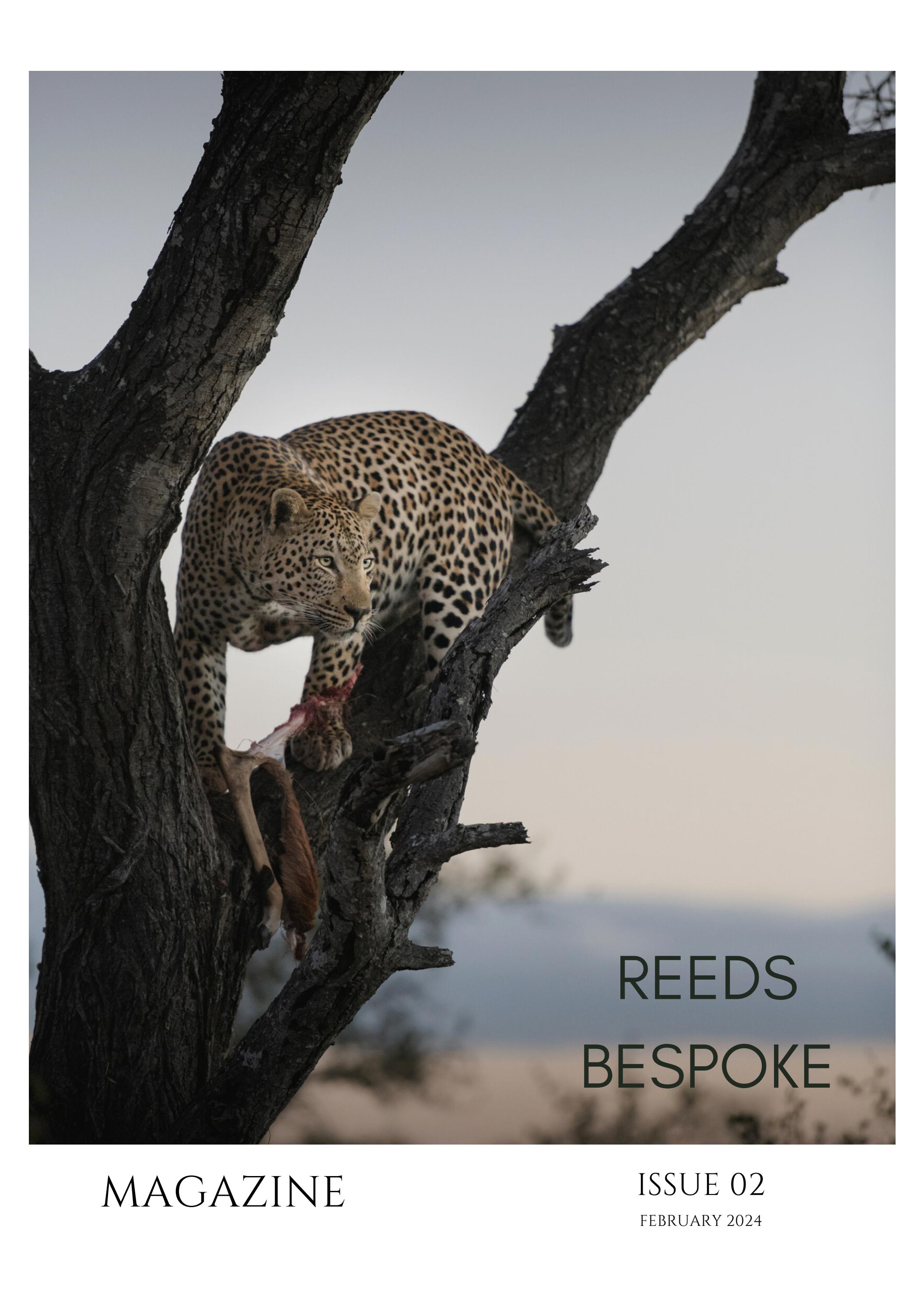 Issue - 02 - February 2024 by Reeds-Bespoke-Travel - Issuu