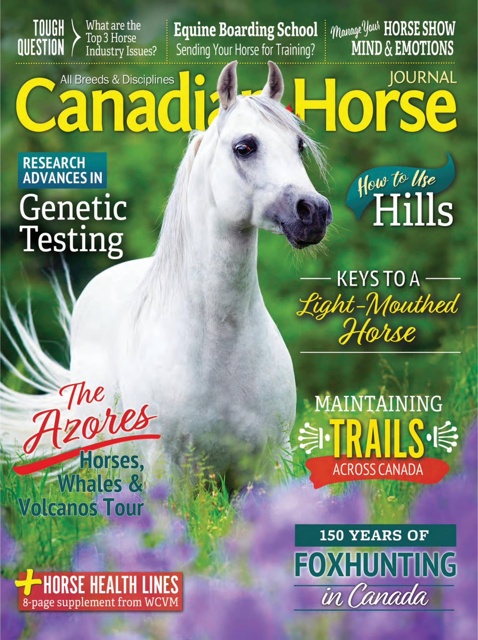 Canadian Horse Journal - Western Canada - Early Summer 2023 by Horse ...