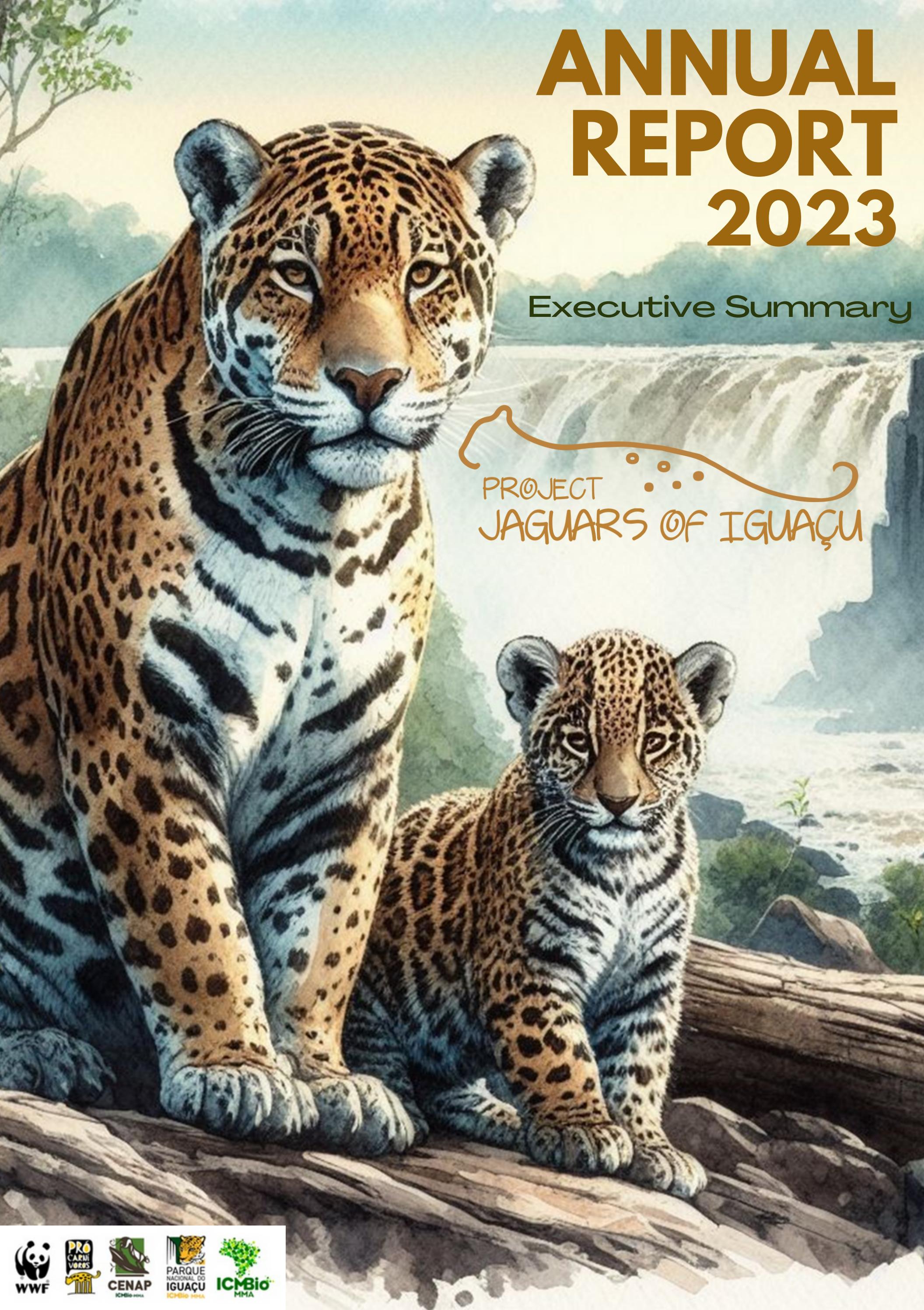 Executive Summary - Annual Report 2023 - Project Jaguars of Iguaçu by ...