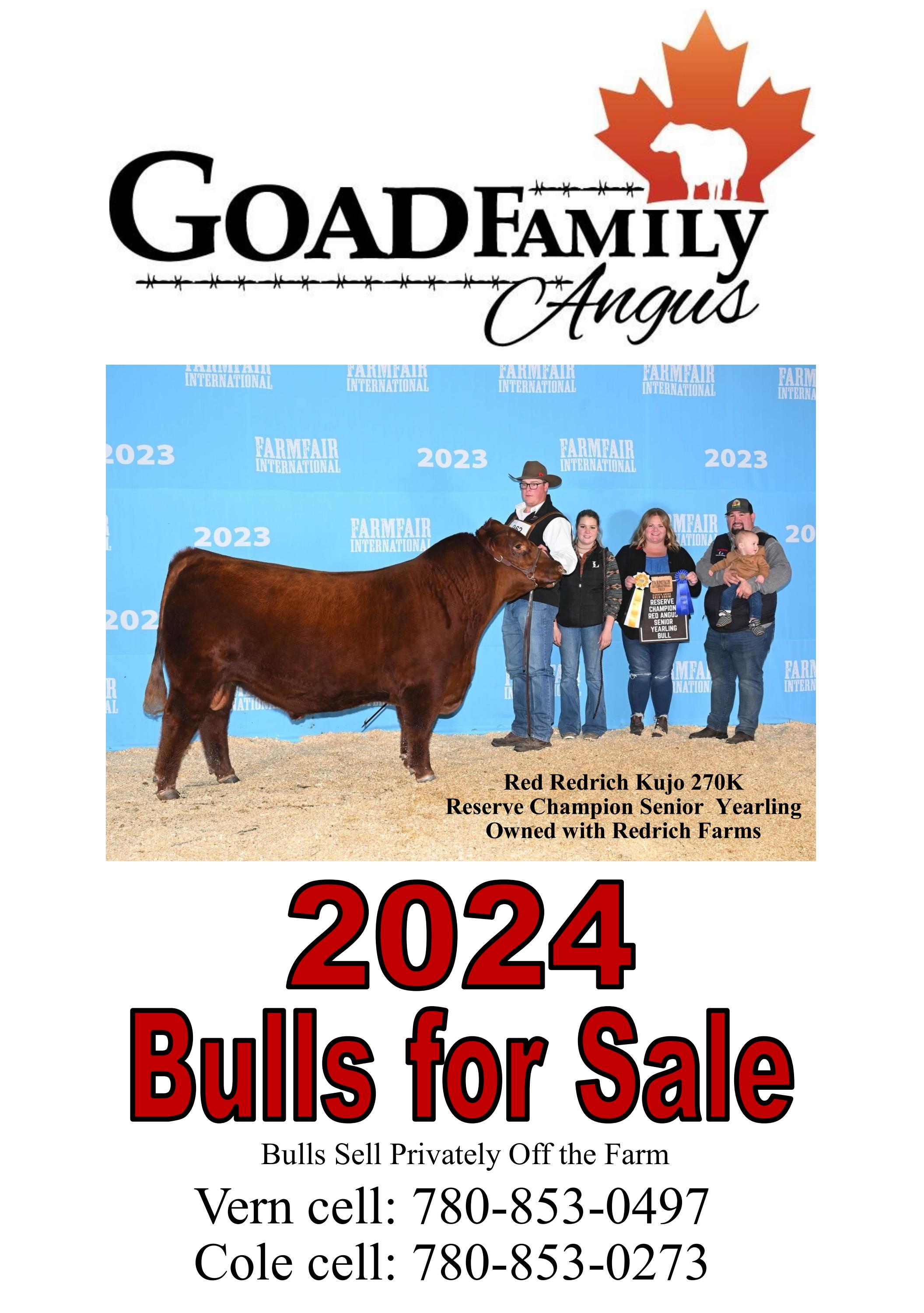 Goad Family Angus 2024 Bull Catalogue by goadfamilyangus - Issuu