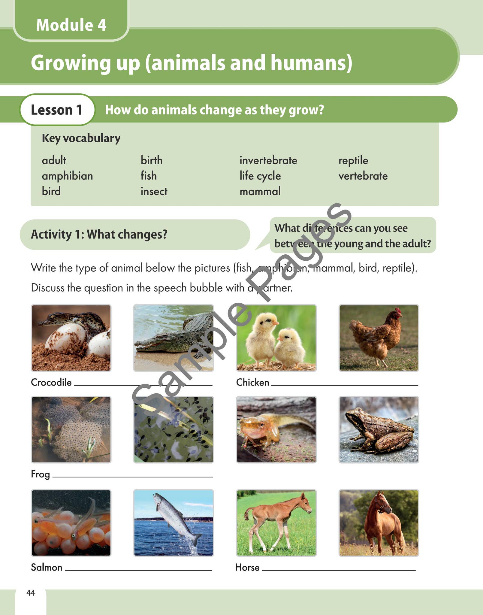 Intl Snap Science 2nd Ed SB 2 Sample by Collins - Issuu