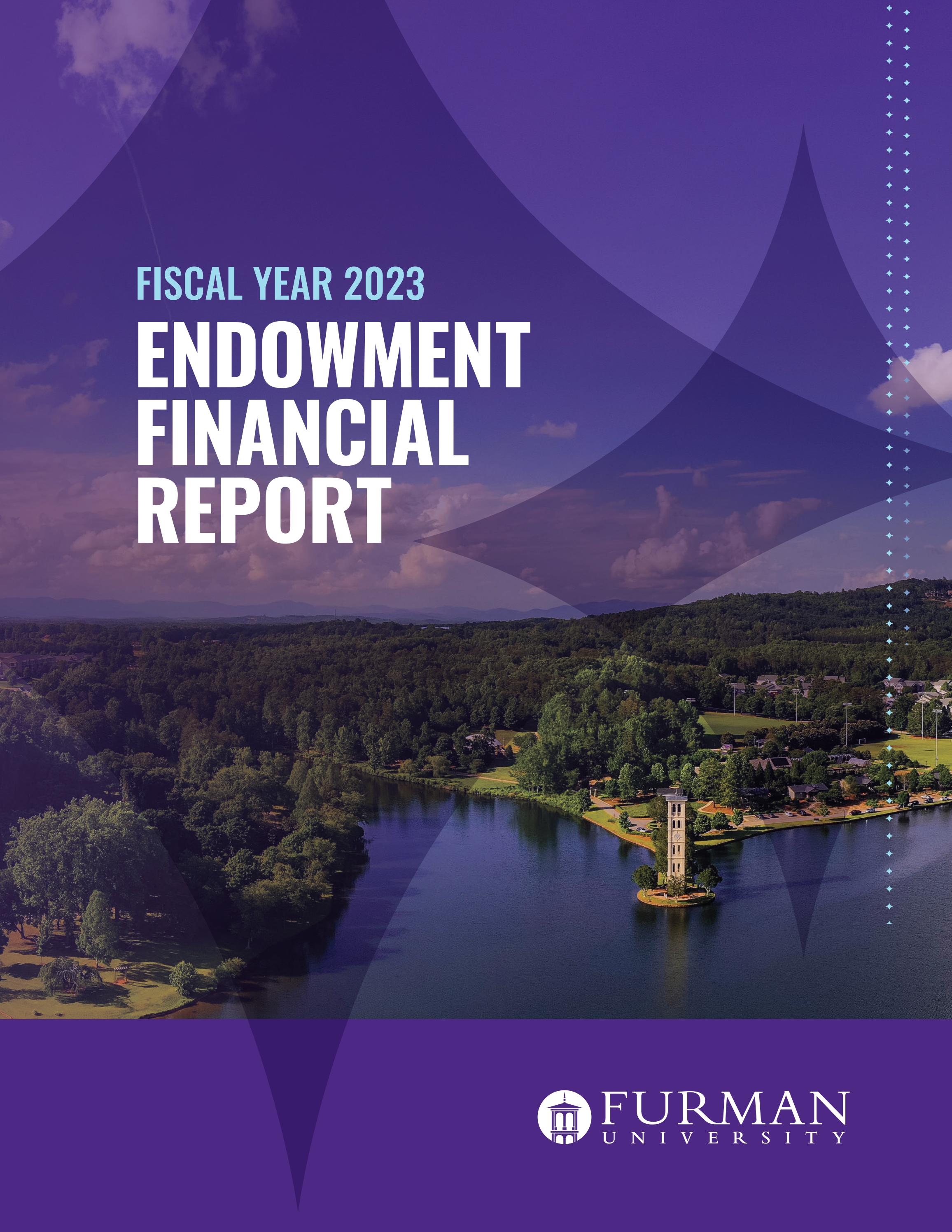 Annual Endowment Report FY23 by Furman University - Issuu