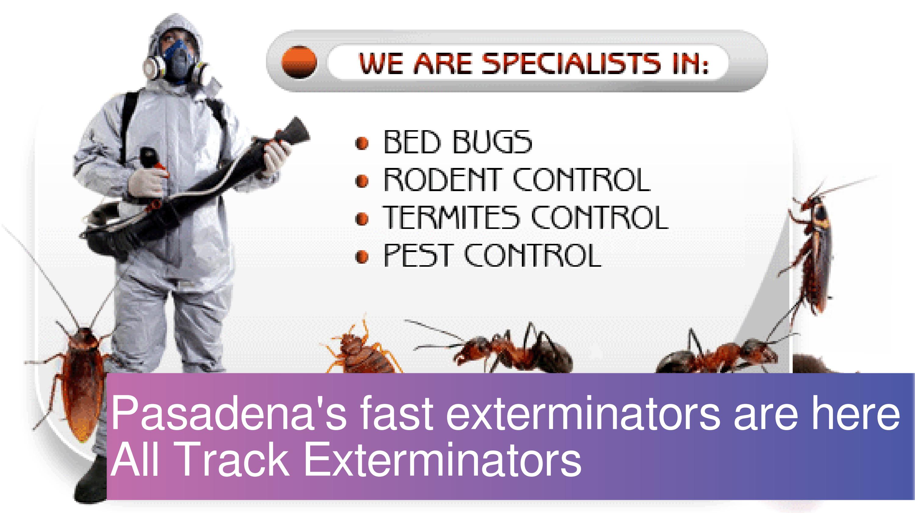Pasadena's fast exterminators are here All Track Exterminators by ...