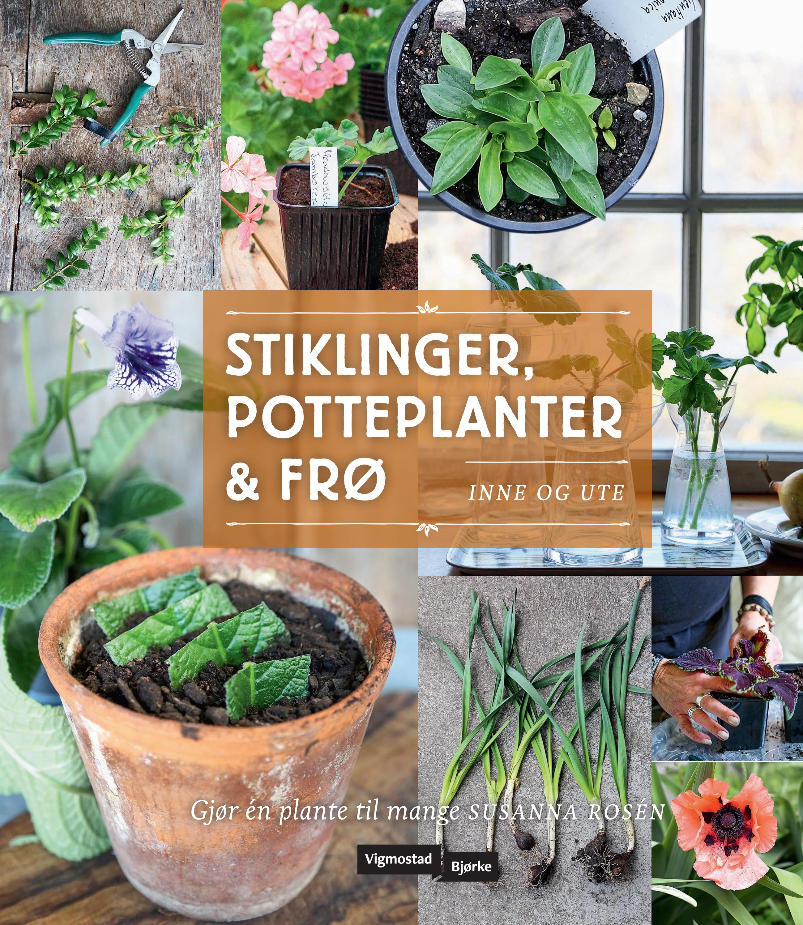 Stiklinger, potteplanter og frø by Vigmostad & Bjørke - Issuu