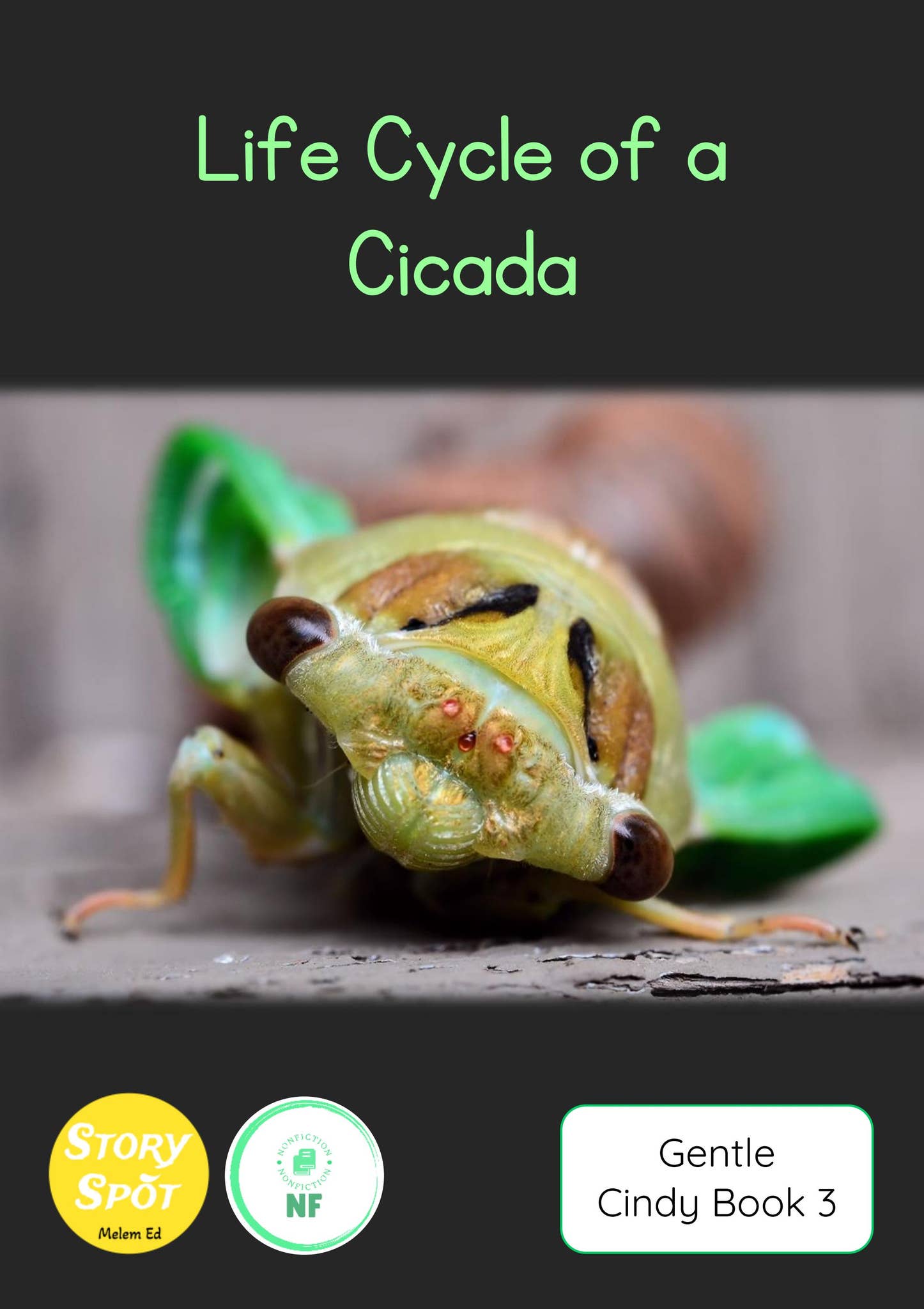 Life Cycle of a Cicacda by Melem Ed - Issuu
