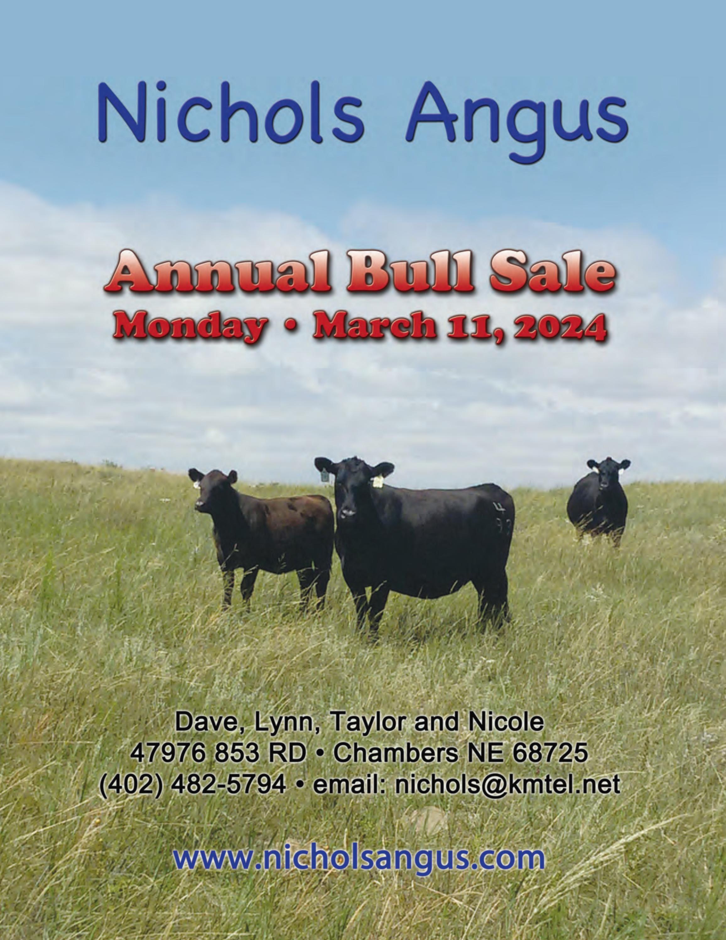 Nichols Angus Annual Bull Sale by LivestockDirect - Issuu