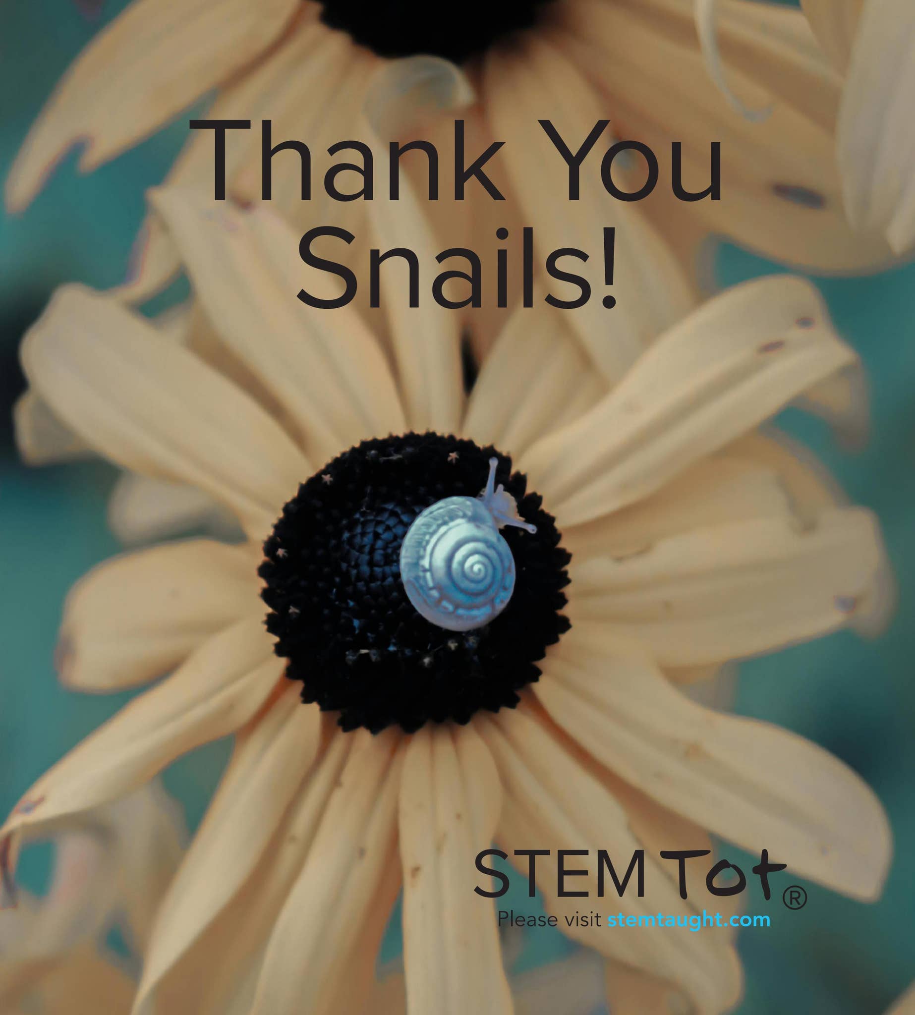 Thank You Snails! TK tiny book by STEMTaught - Issuu