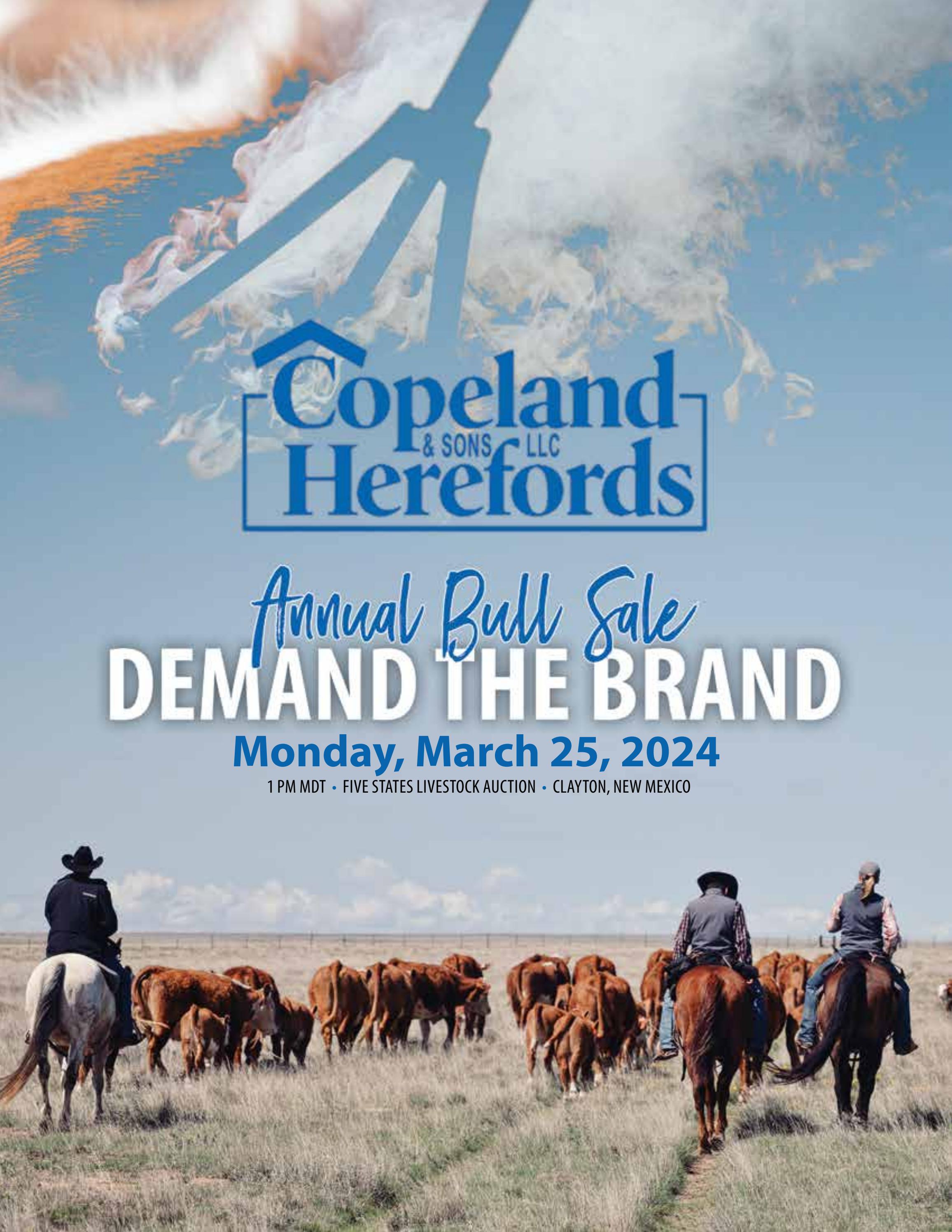 2024 Copeland & Sons Annual Bull Sale by SCI - Stephanie Cronin, INC ...