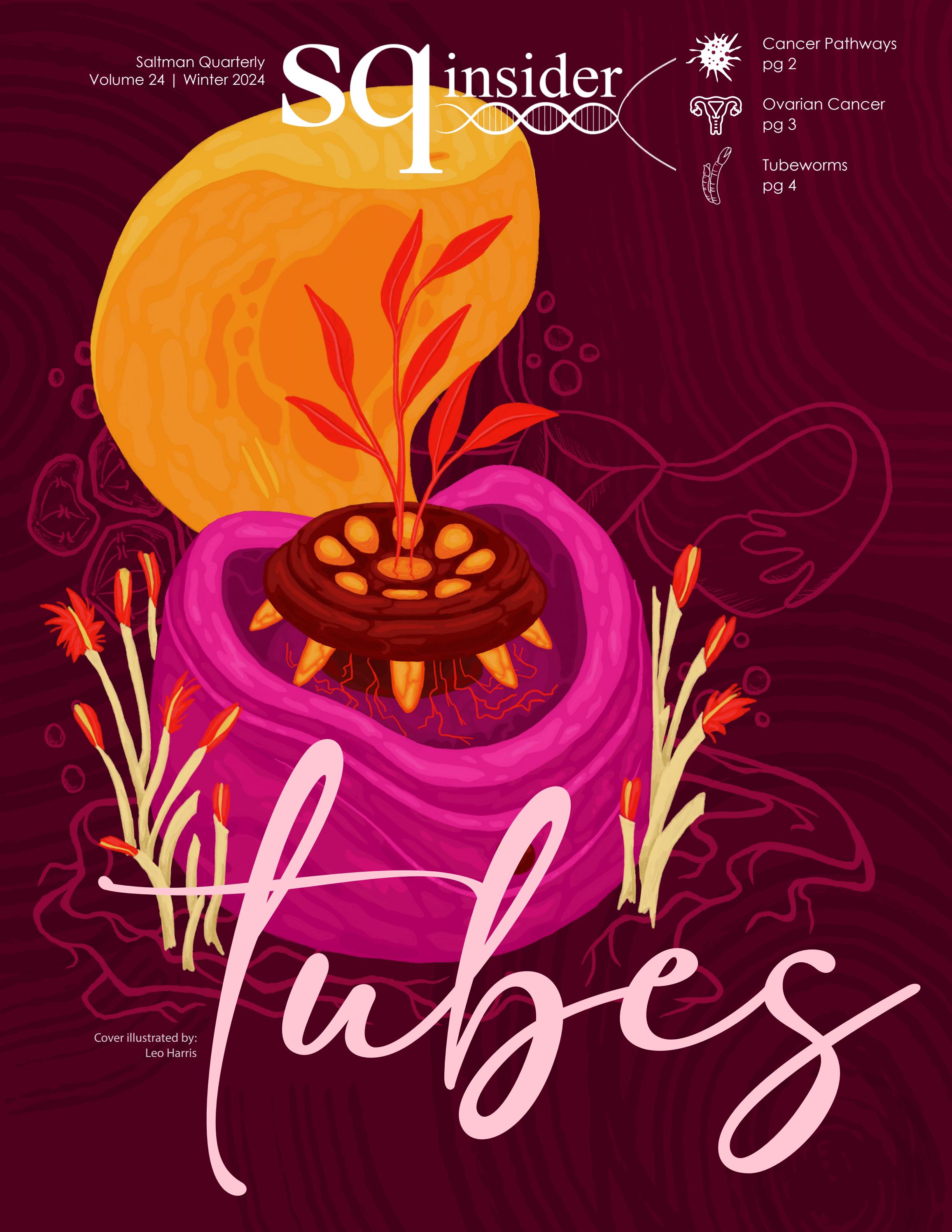 Winter Insider 2024: Tubes by Saltman Quarterly - Issuu