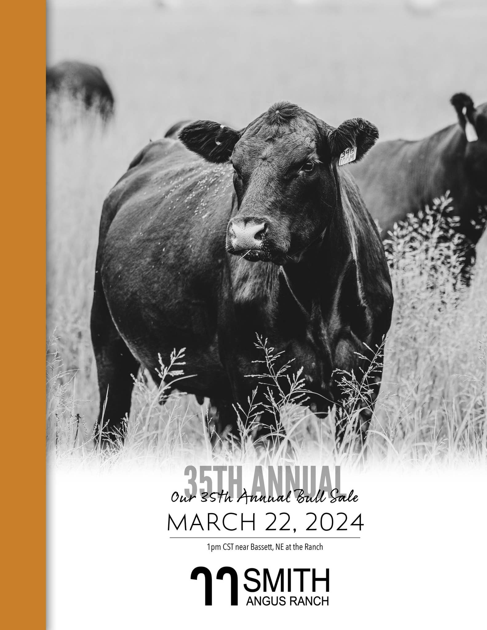 Smith Angus Ranch 35th Annual Bull Sale - 2024 by ...