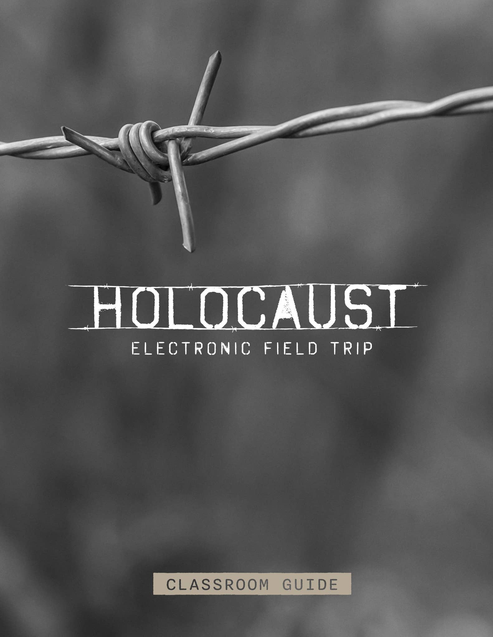 Holocaust EFT Classroom Guide by The National WWII Museum - Issuu