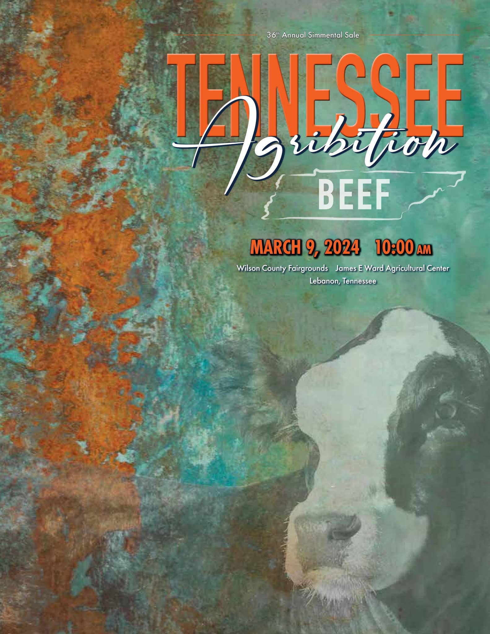 Tennessee Beef Agribition Simmental Sale 2024 by Barbour Marketing ...