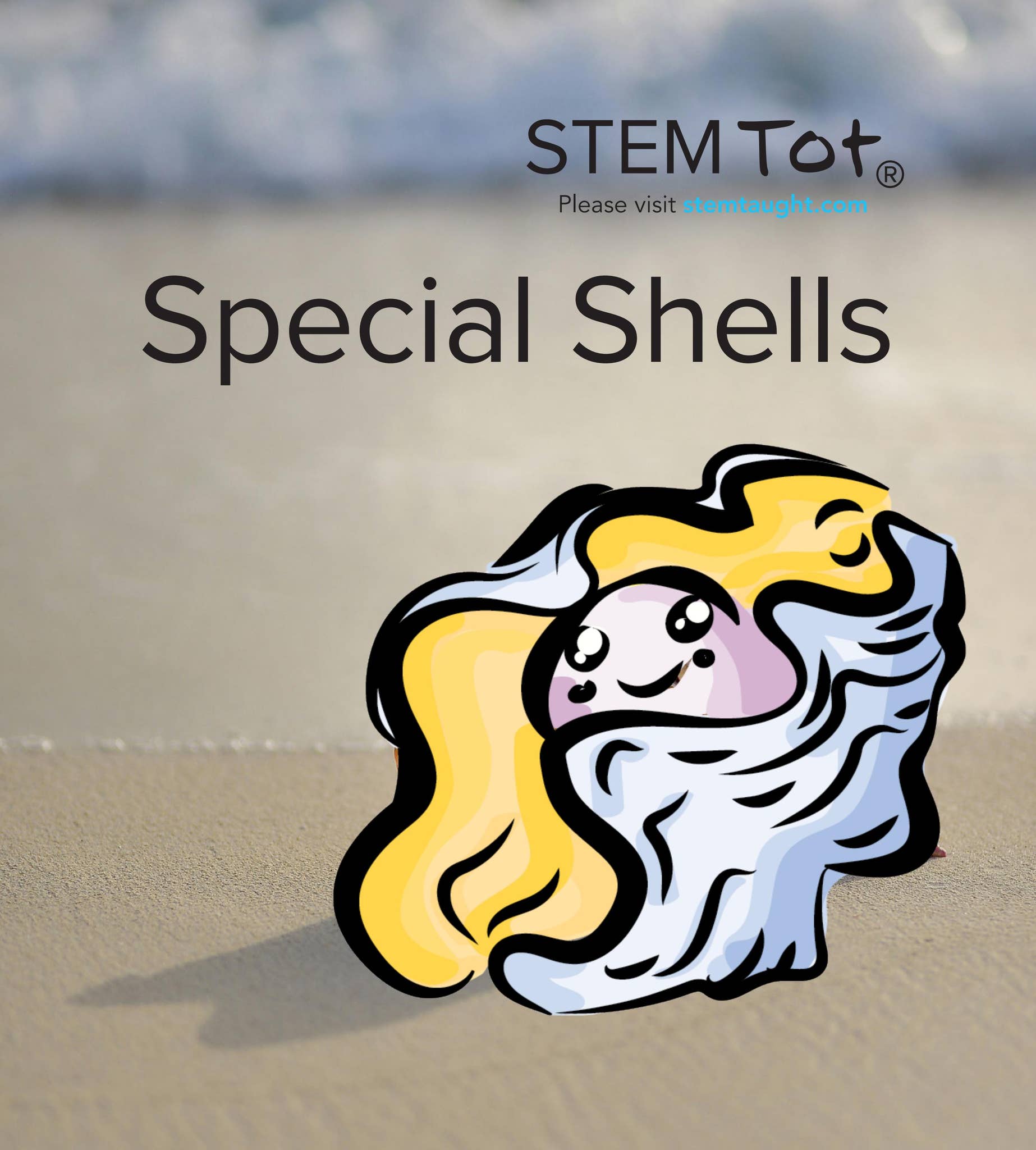 Special Shells TK tiny book by STEMTaught - Issuu