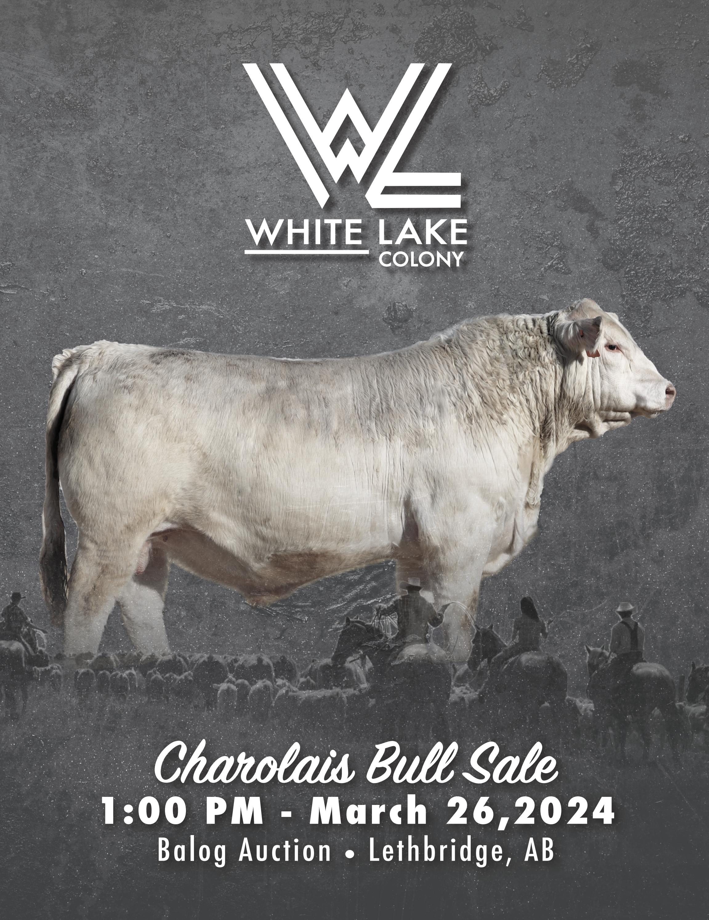 2024 White Lake Colony Bull Sale by McLeod Ag Marketing & Design - Issuu