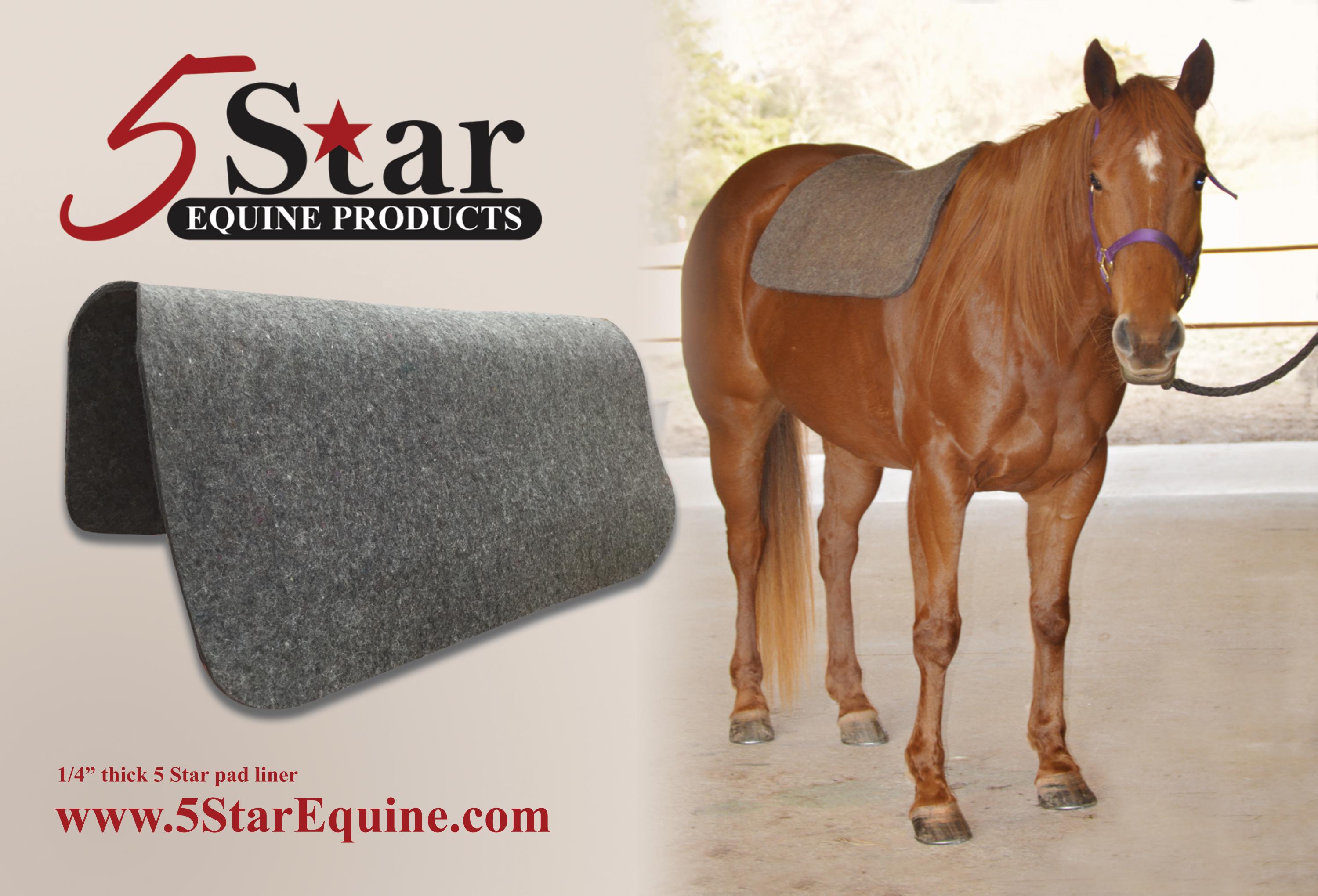5 Star Pad Liner Postcard by 5starequine - Issuu