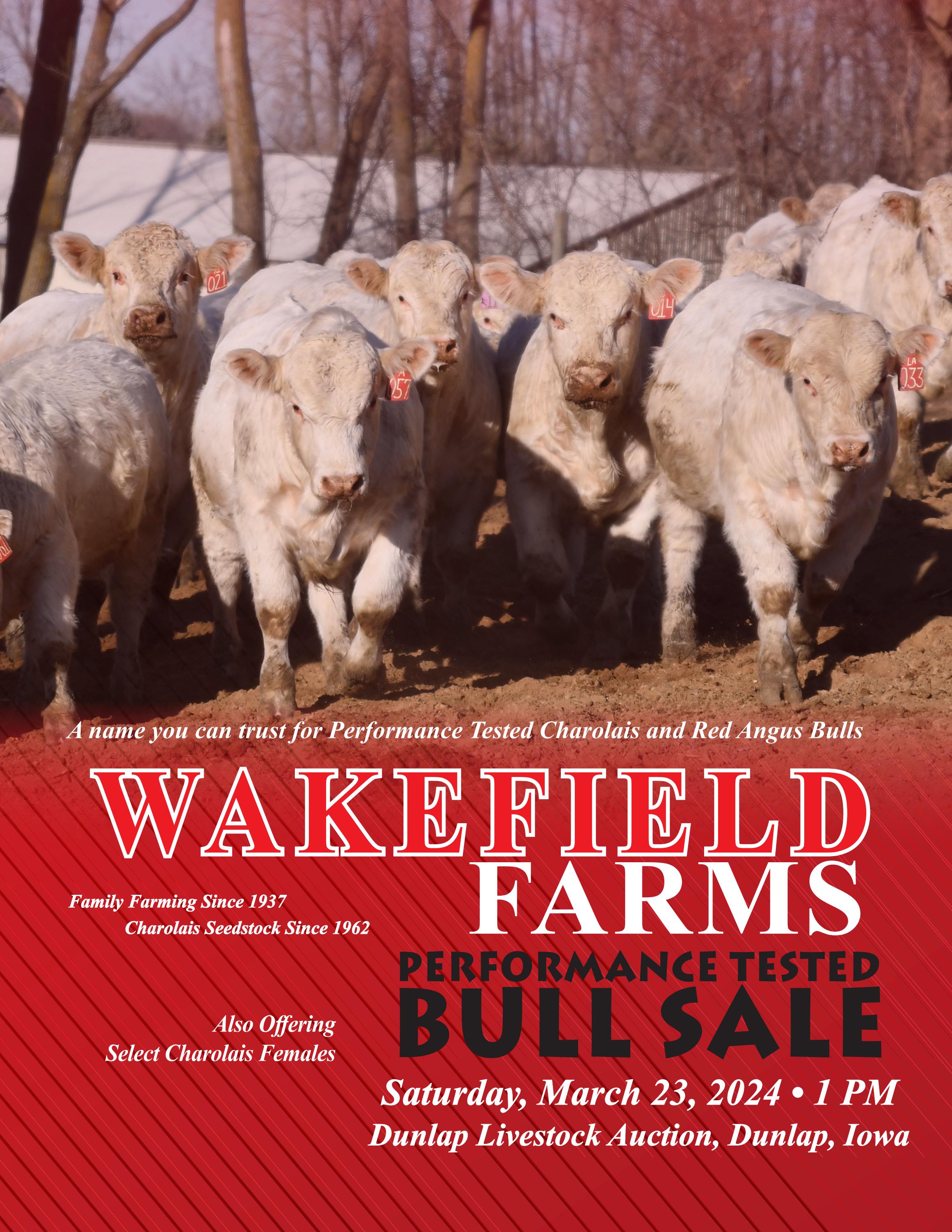 Wakefield Farms 2024 Performance Tested Bull Sale by JWC Marketing - Issuu