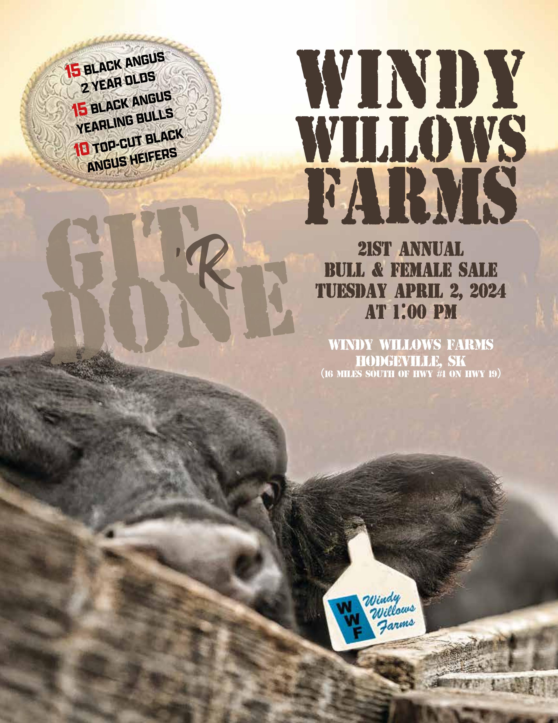 Windy Willows Farms Bull and Female Sale 2024 by KendraFisherDESIGNS ...