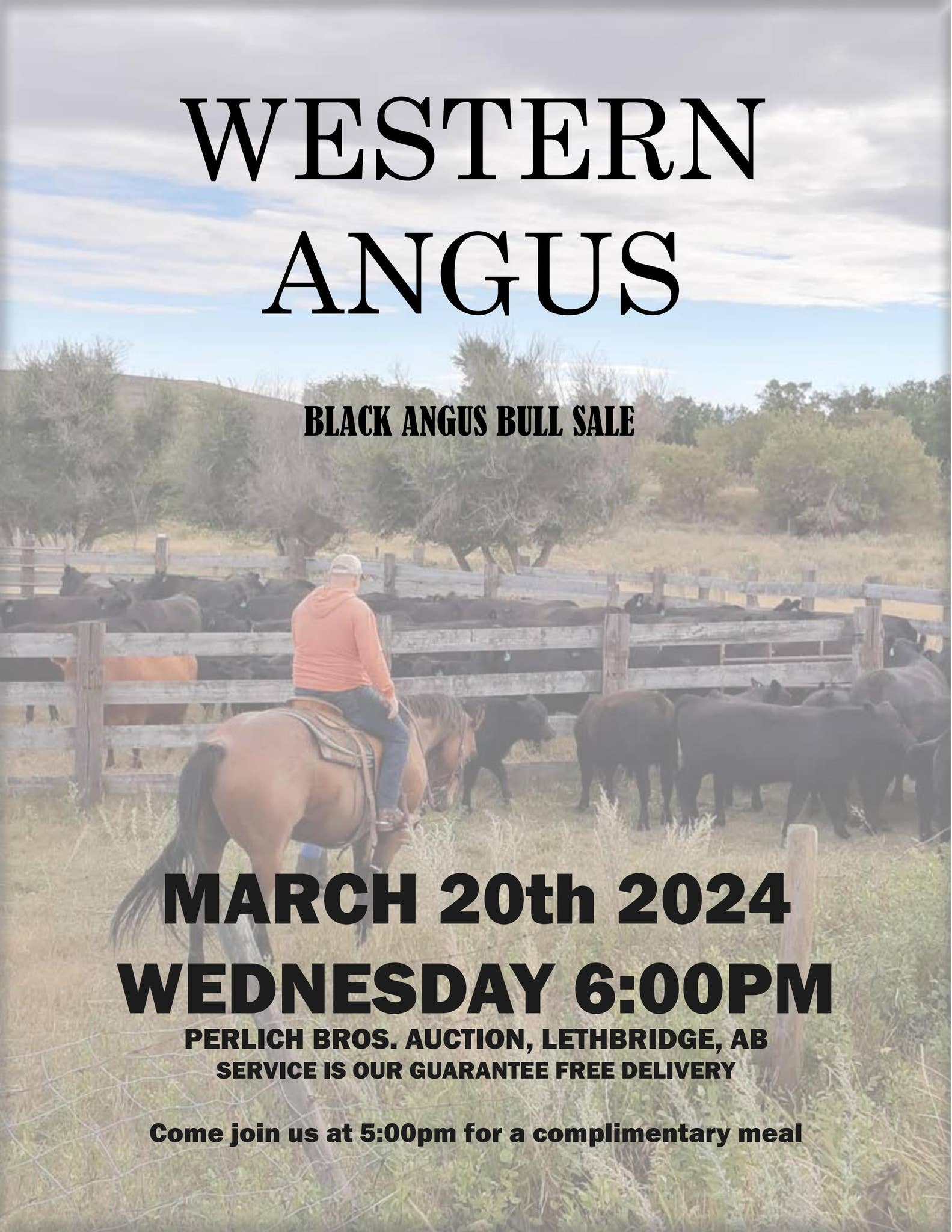 Western Angus Black Angus Bull Sale by Coyote Publishing Ltd. - Issuu