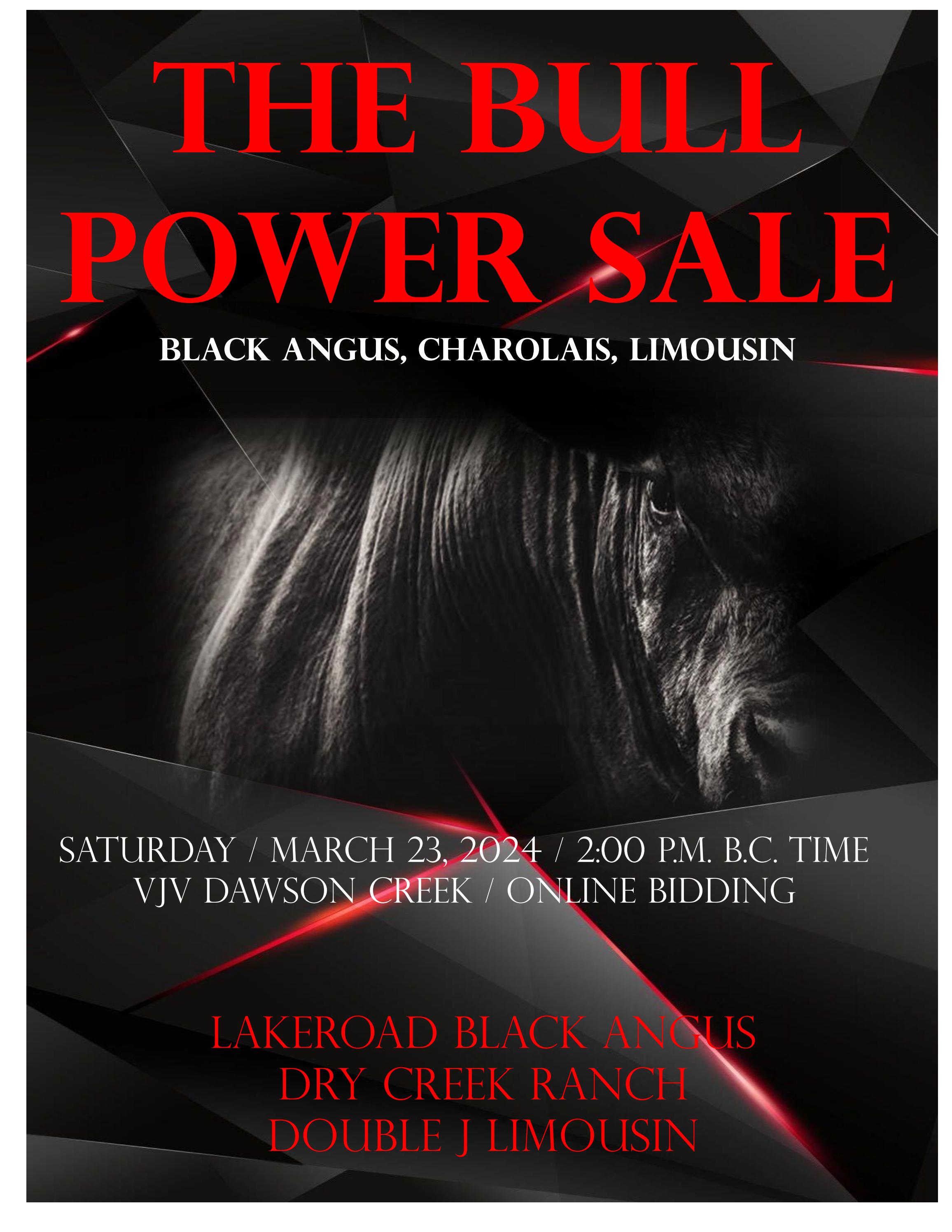 The 2024 Bull Power Sale by lakeroadcattle - Issuu