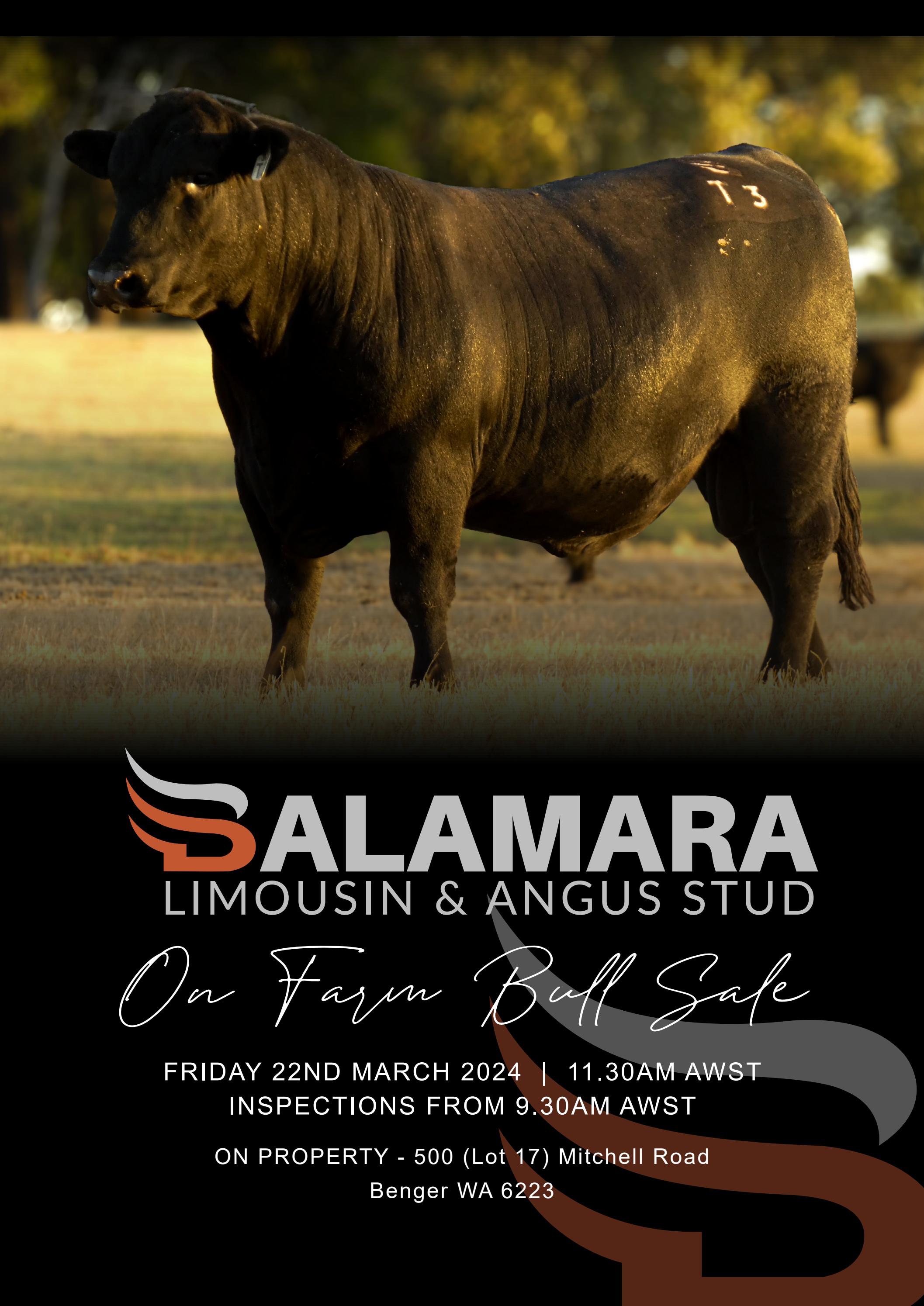 2024 Balamara Limousin & Angus Sale Catalogue by Balamara - Issuu