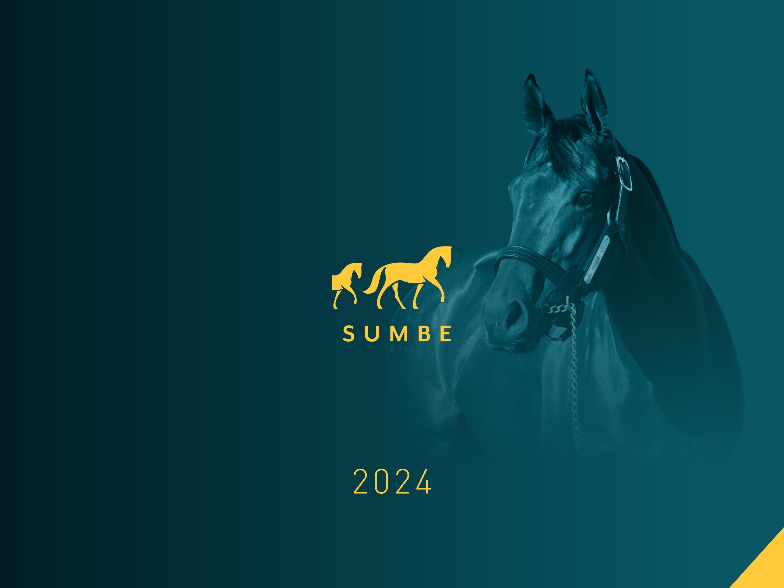 SUMBE Brochure 2024 by SUMBE - Issuu