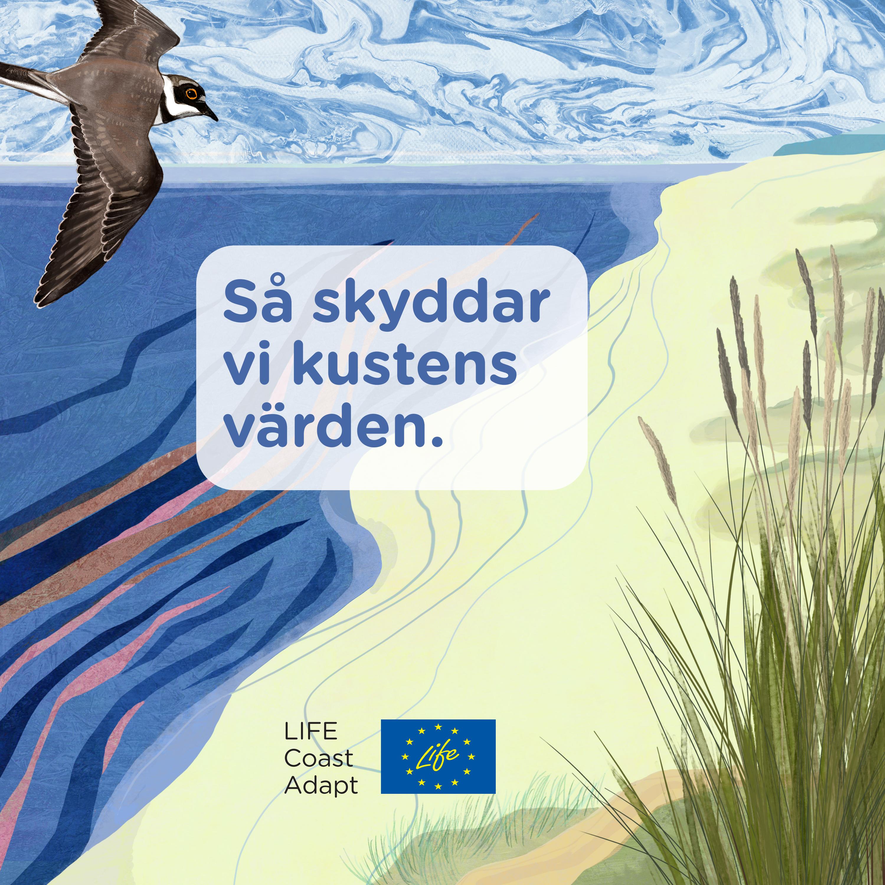 Layman's report LIFE Coast Adapt på svenska by Grafolin - Issuu