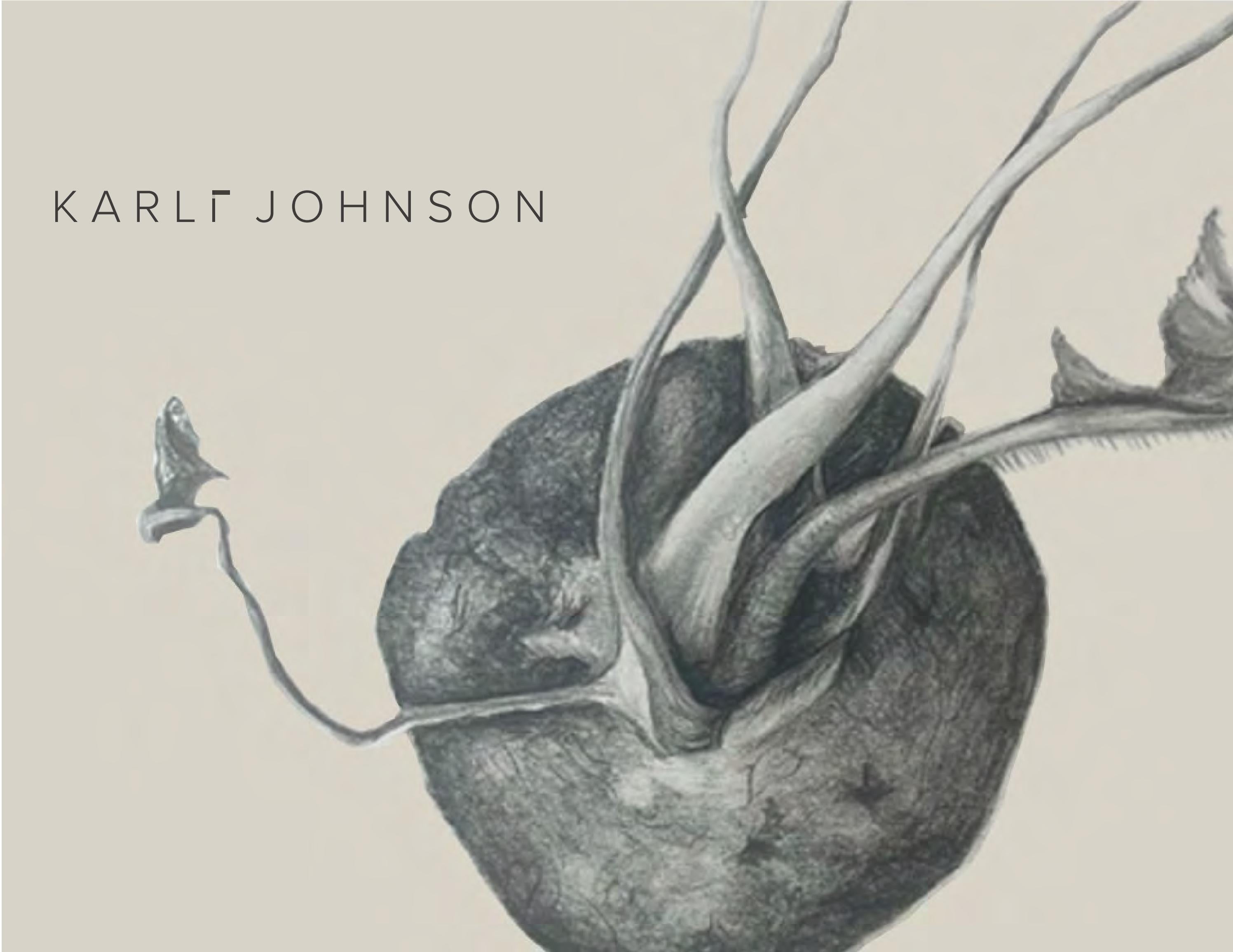 Karli Johnson Design Portfolio by karlijohnson11 - Issuu