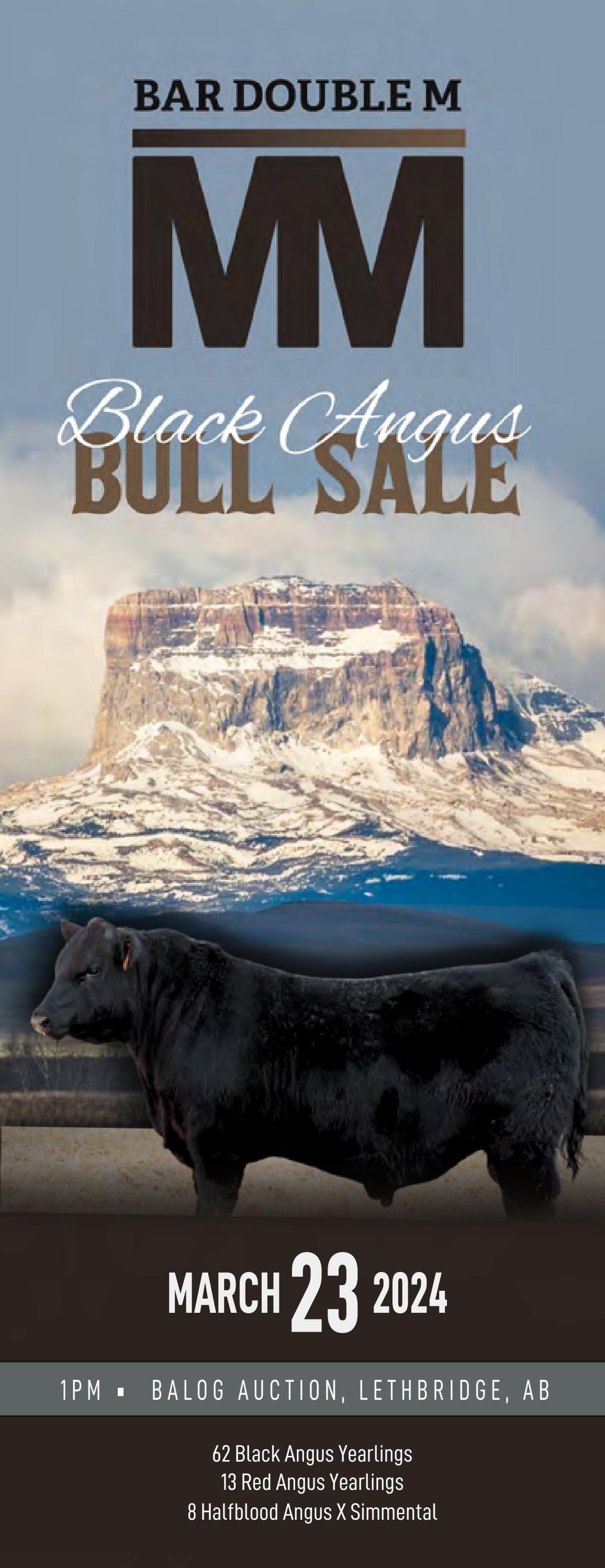 Bar MM Black Angus Bull Sale by Coyote Publishing Ltd. - Issuu