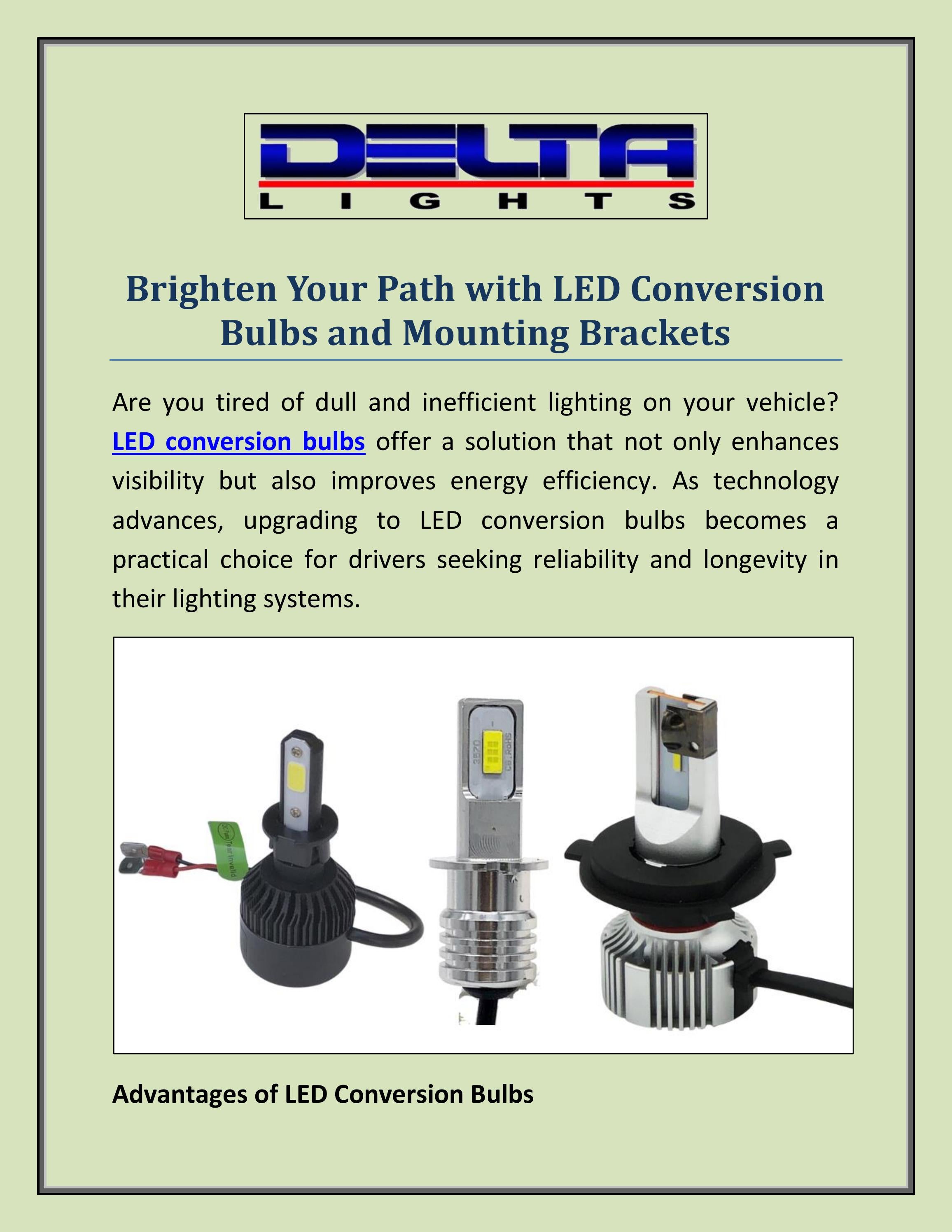 Brighten Your Path with LED Conversion Bulbs and Mounting Brackets by ...