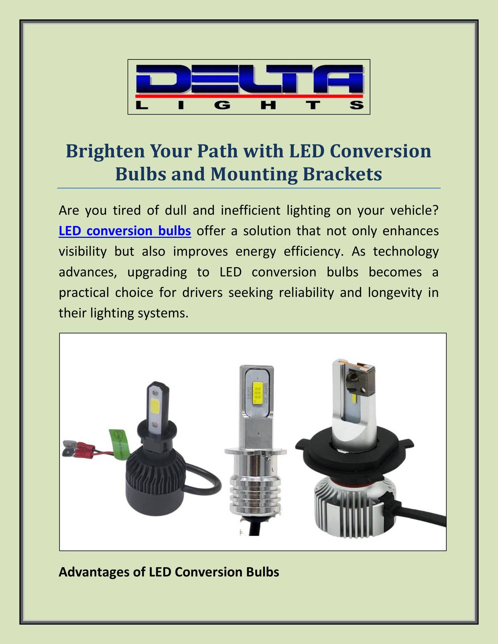 Brighten Your Path with LED Conversion Bulbs and Mounting Brackets by ...