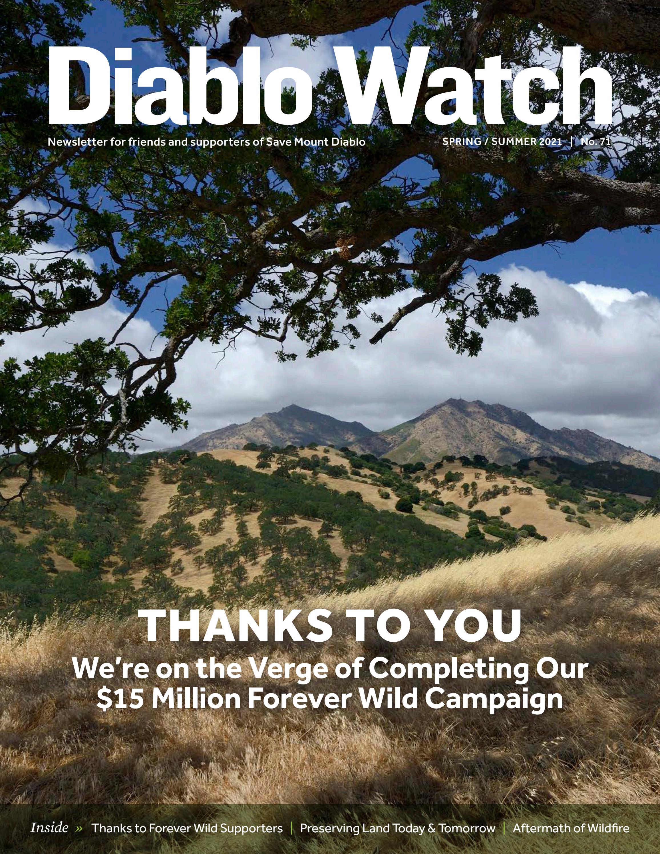 2021 Diablo Watch - Spring/Summer Edition, Issue 71 by Save Mount ...