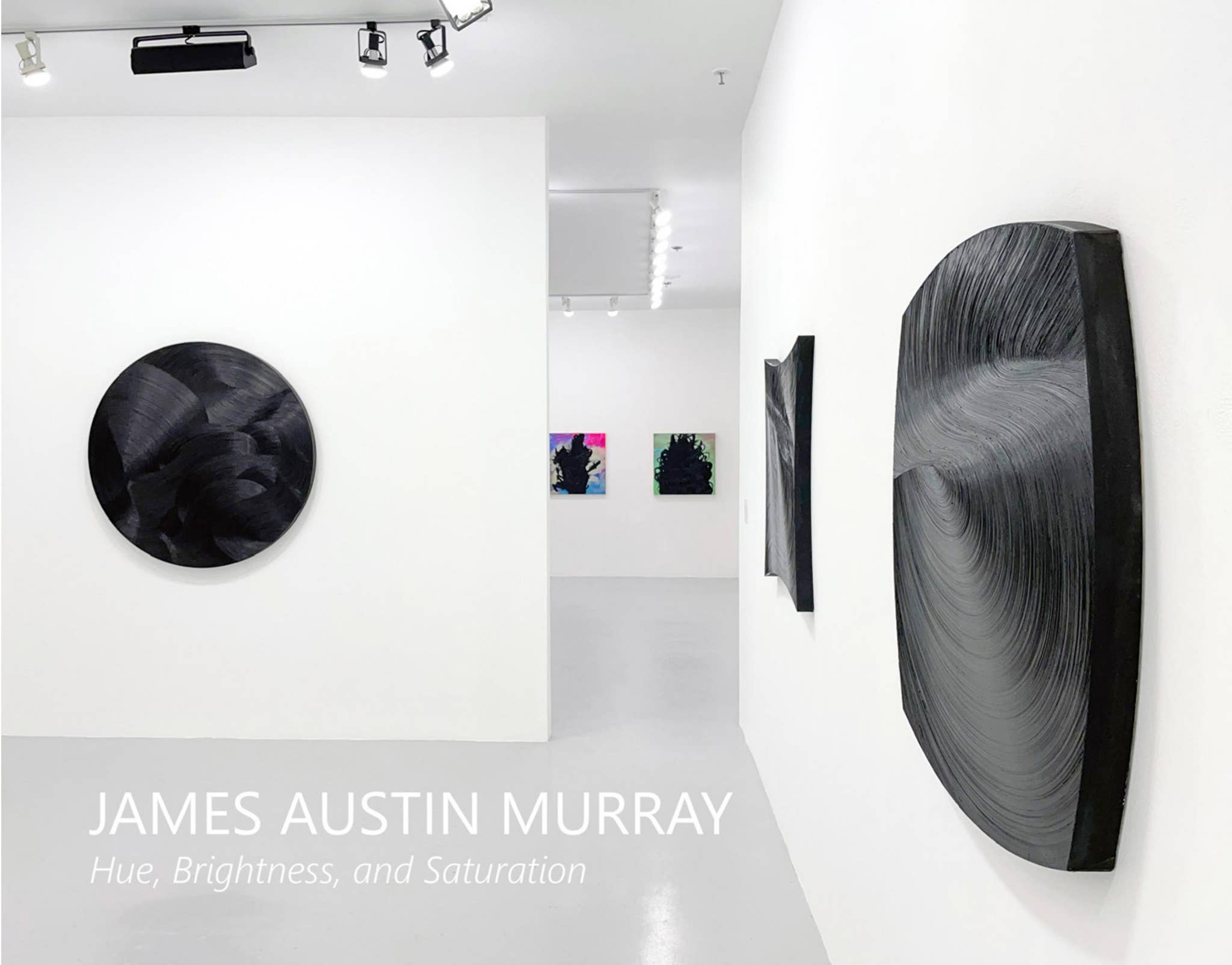 James Austin Murray: Hue, Brightness, and Saturation by Bruno David ...