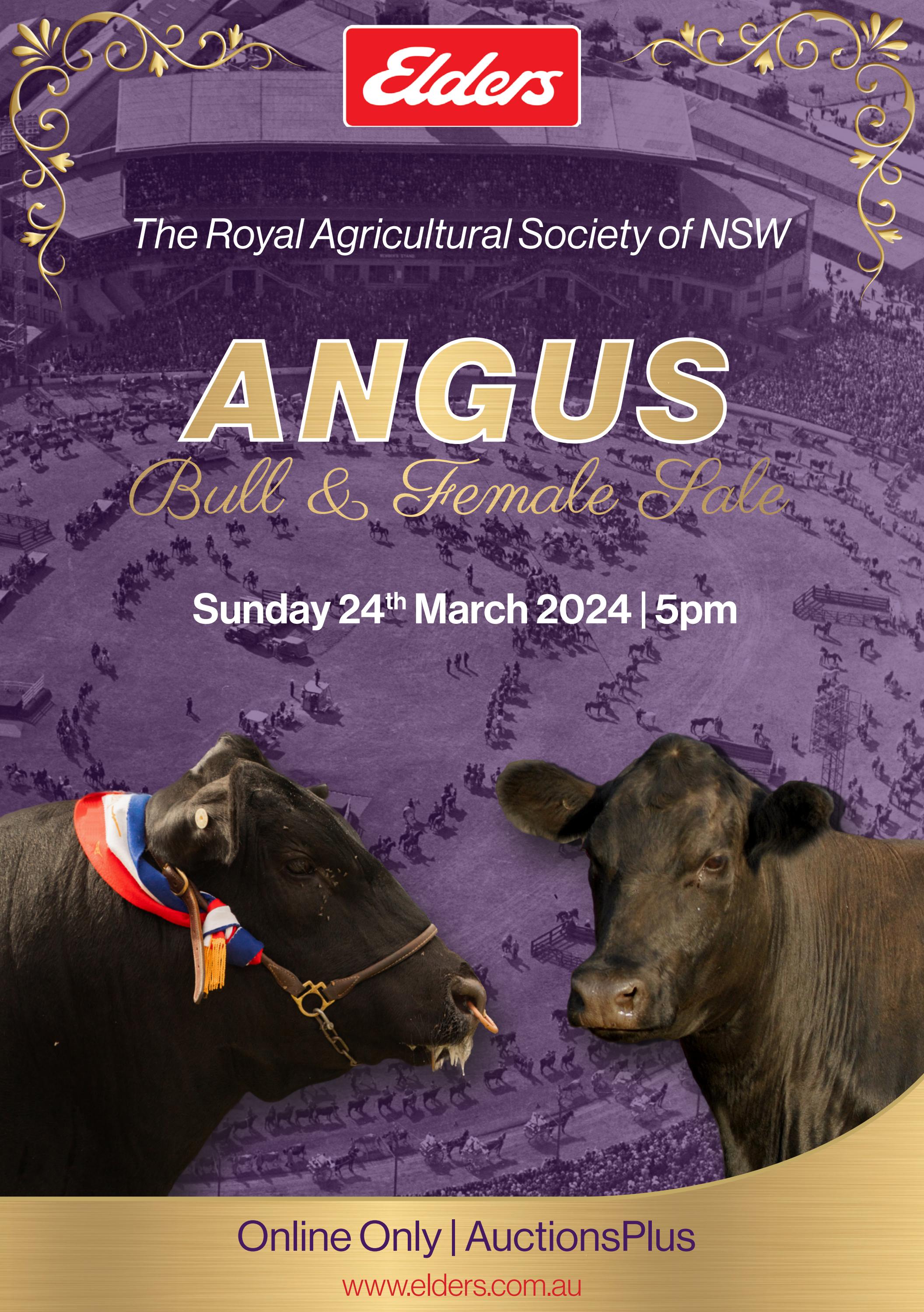 Elders Angus Bull & Female Sale 2024 by Angus Australia - Issuu