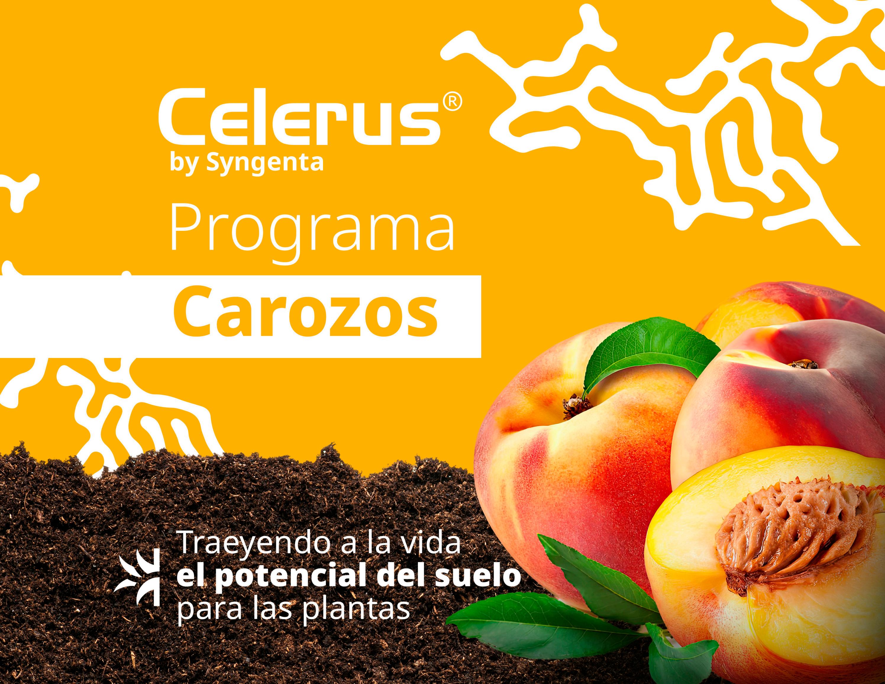 Programa Celerus® Bioestimulantes - Carozos by Syngentachile - Issuu