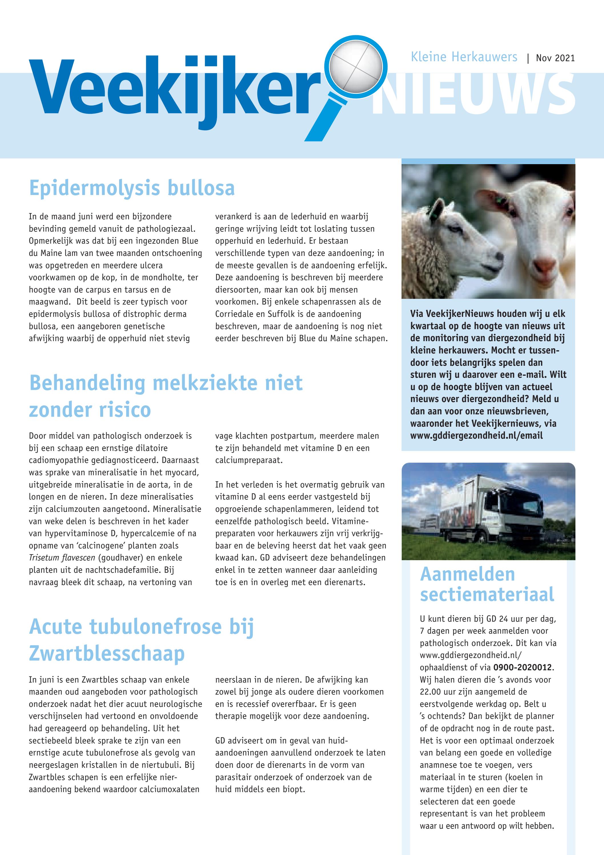 Veekijkernieuws kleine herkauwers-november 2021 by Royal GD - Issuu