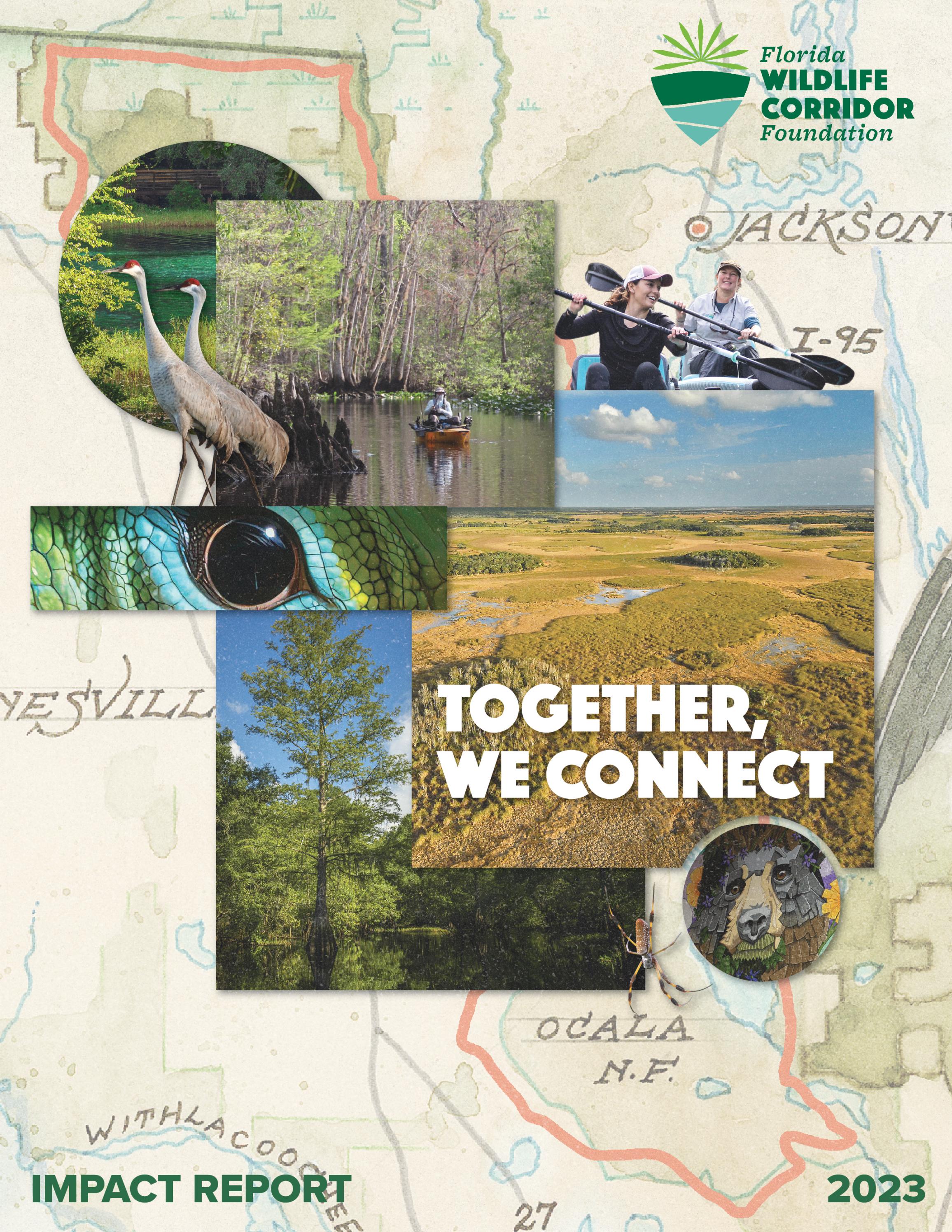Florida Wildlife Corridor Foundation 2023 Impact Report by Florida ...