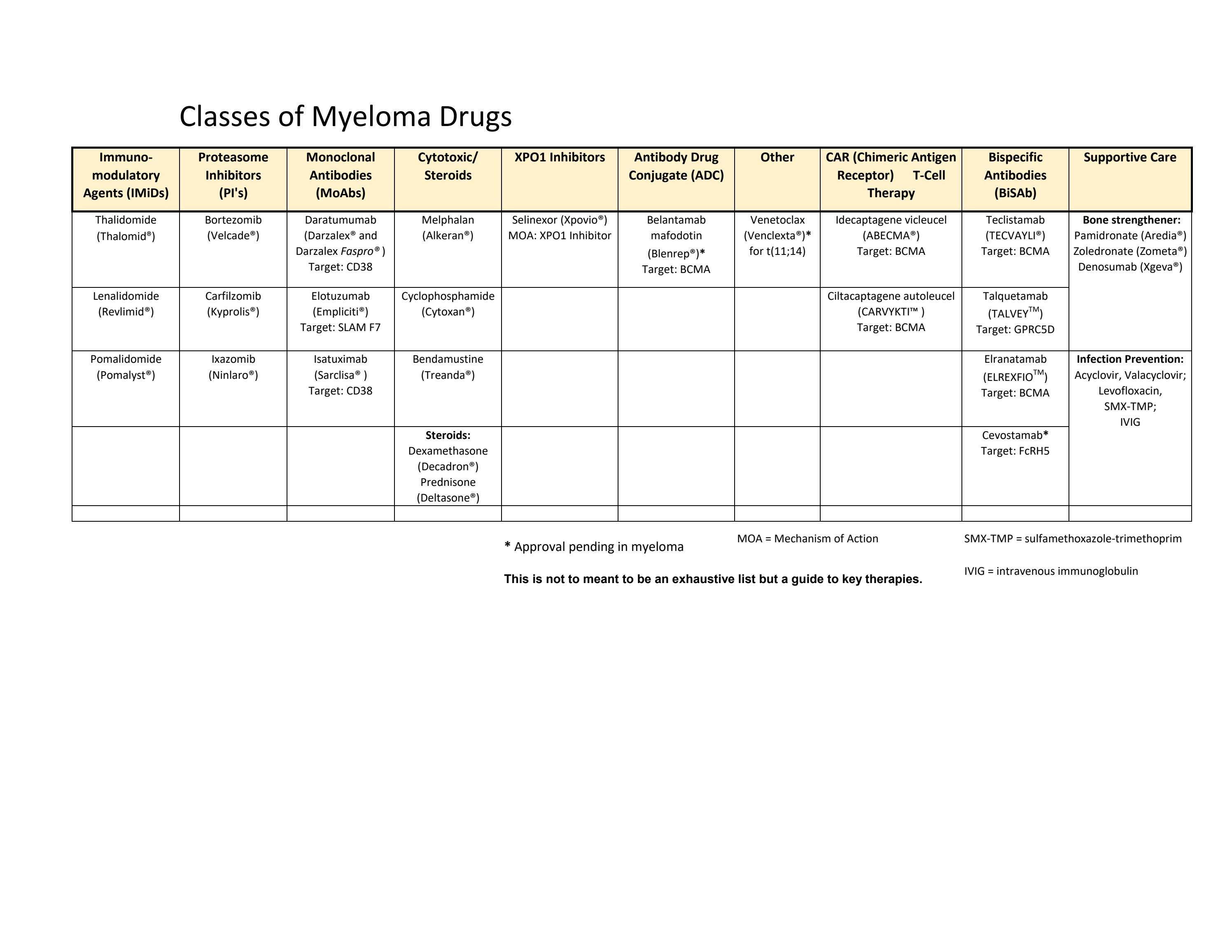 Classes of Myeloma Drugs by International Myeloma Foundation - Issuu