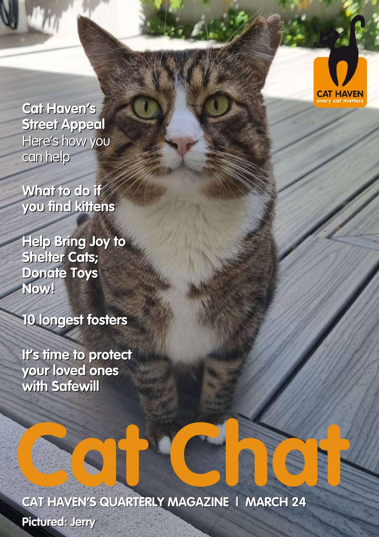 March 24 Cat Chat by cathavenau - Issuu