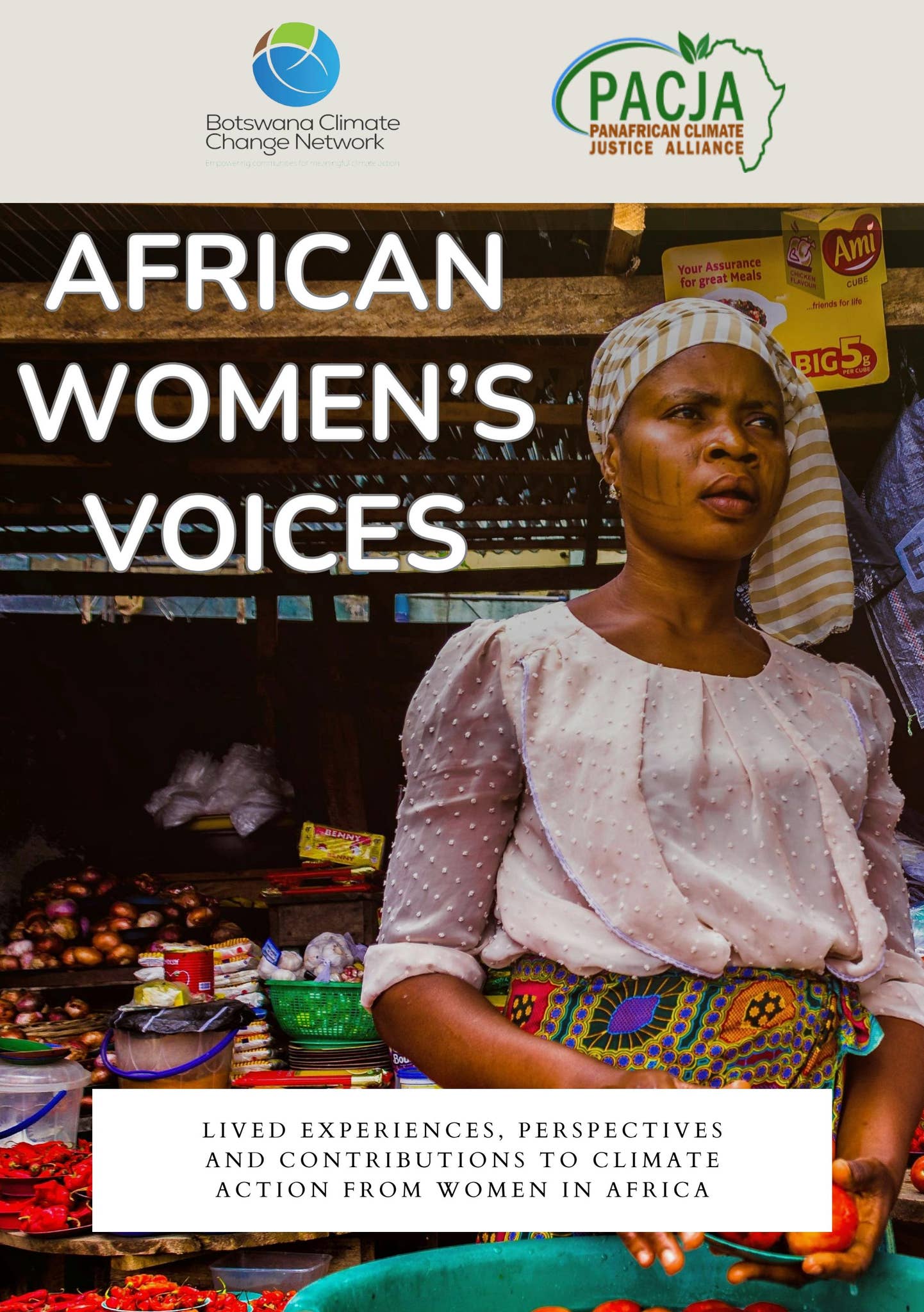 Afrincan Women's Voices by Botswana Climate Change Network - Issuu