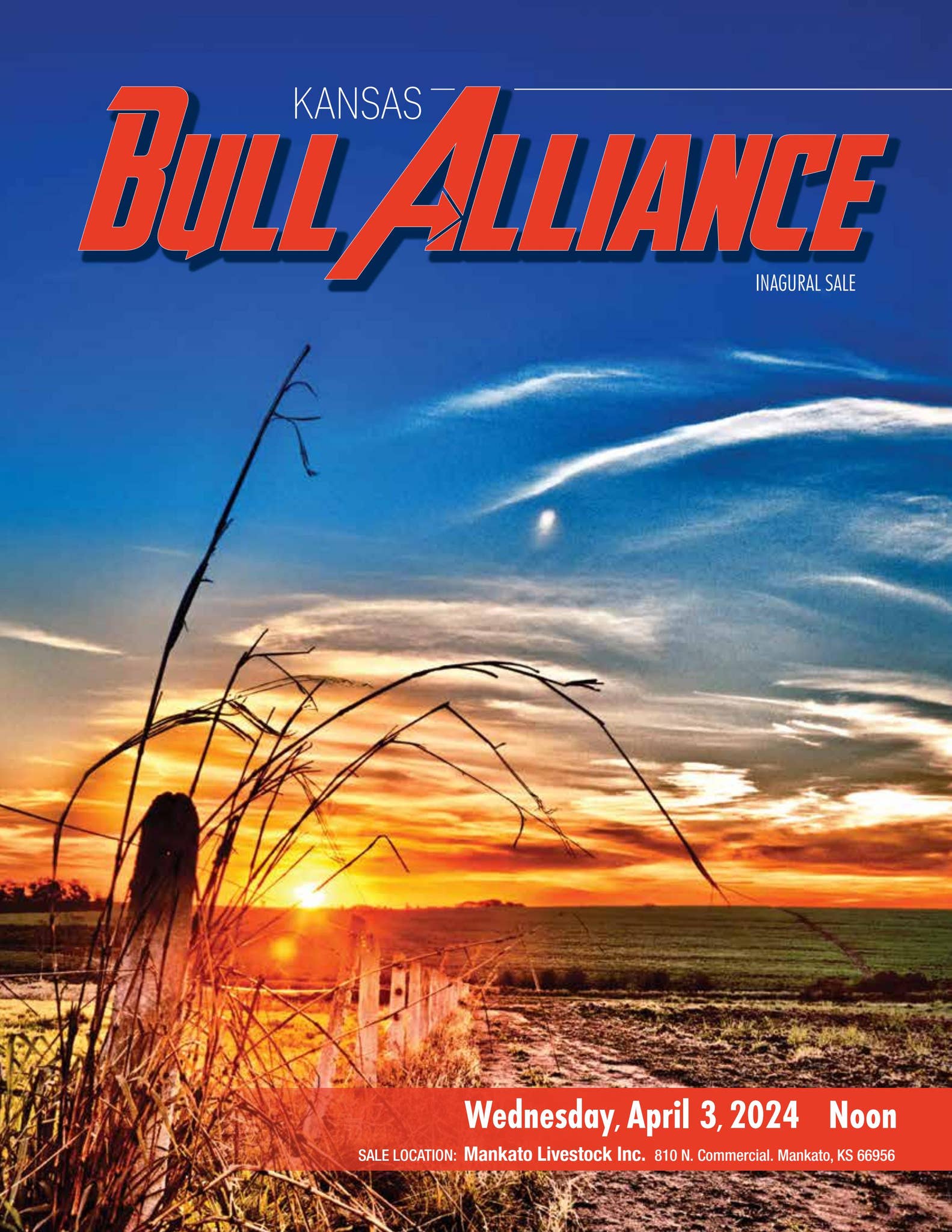 Kansas Bull Alliance Inaugural Sale 2024 by Barbour Marketing Solutions ...