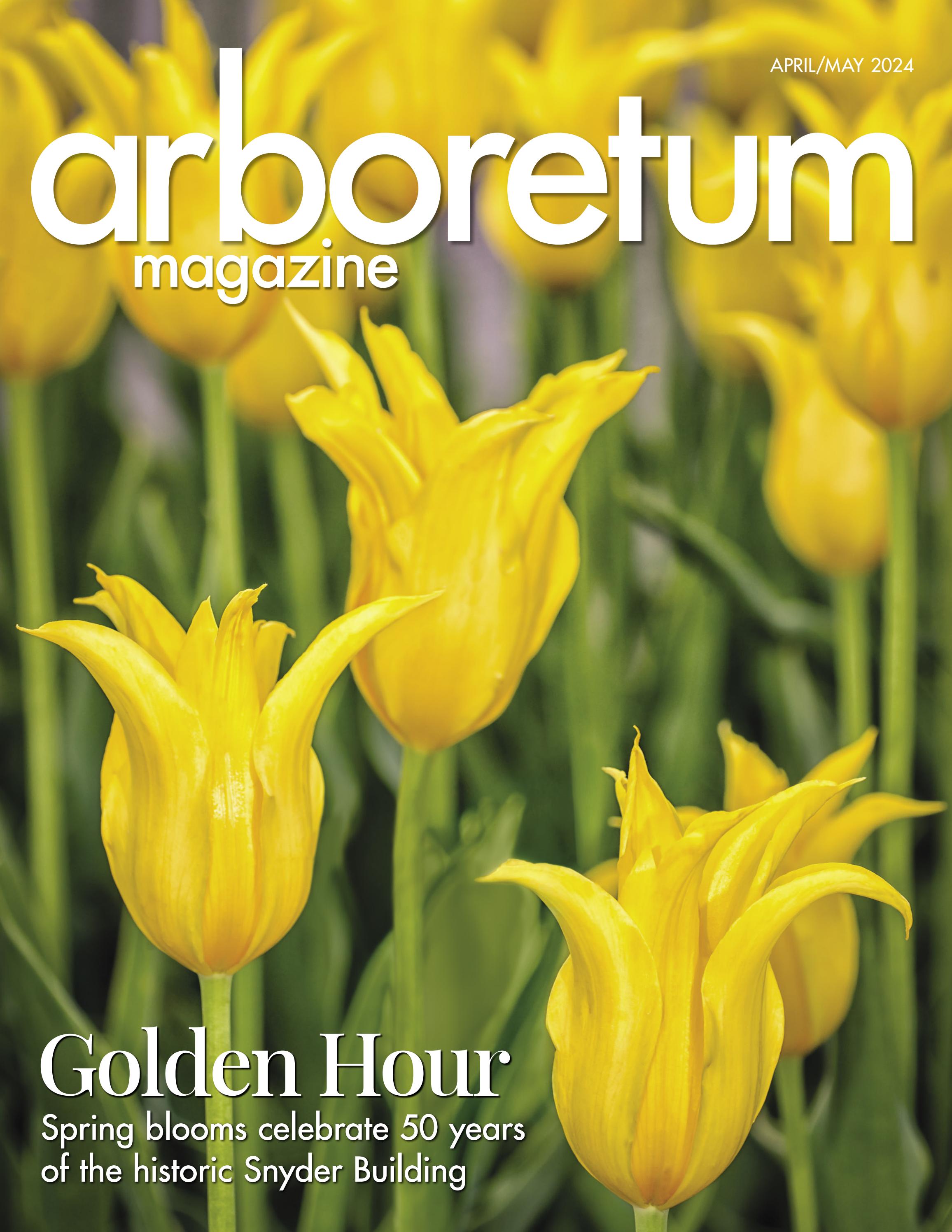 Arboretum Magazine April/May 2024 by Minnesota Landscape Arboretum - Issuu